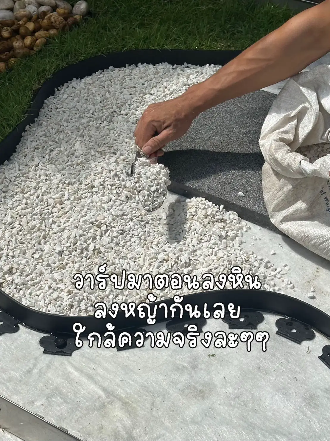 ทำครั้งแรก! รีวิวจัดสวนเล็กๆของตัวเอง🪴🫶🏻 | แกลเลอรีที่โพสต์โดย Tontarn.pp | Lemon8