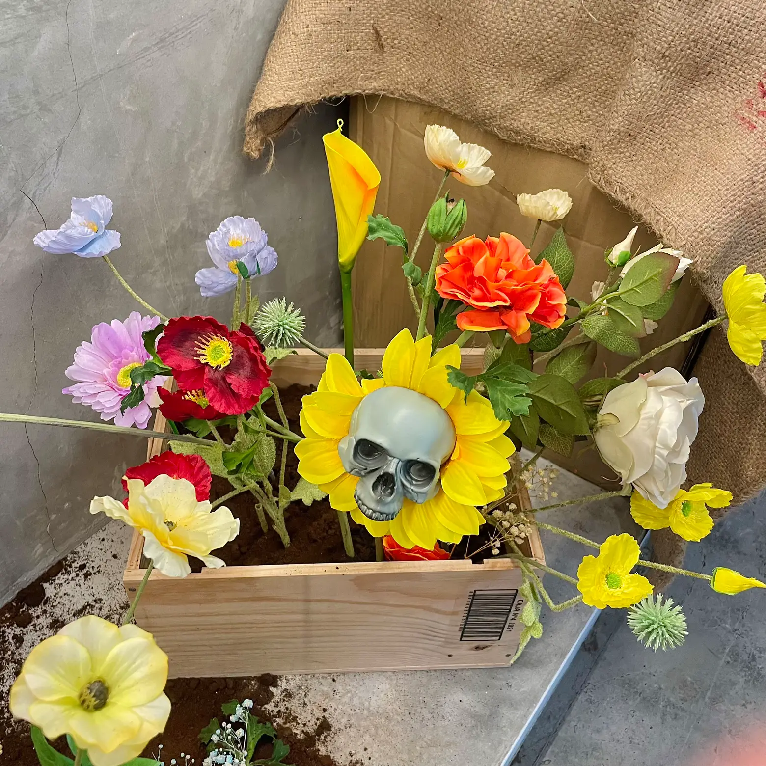 Solace cafe Bukit Bintang | Galeri disiarkan oleh 𝒜𝓃𝒶𝓉𝒶𝓈𝒾𝒶 | Lemon8