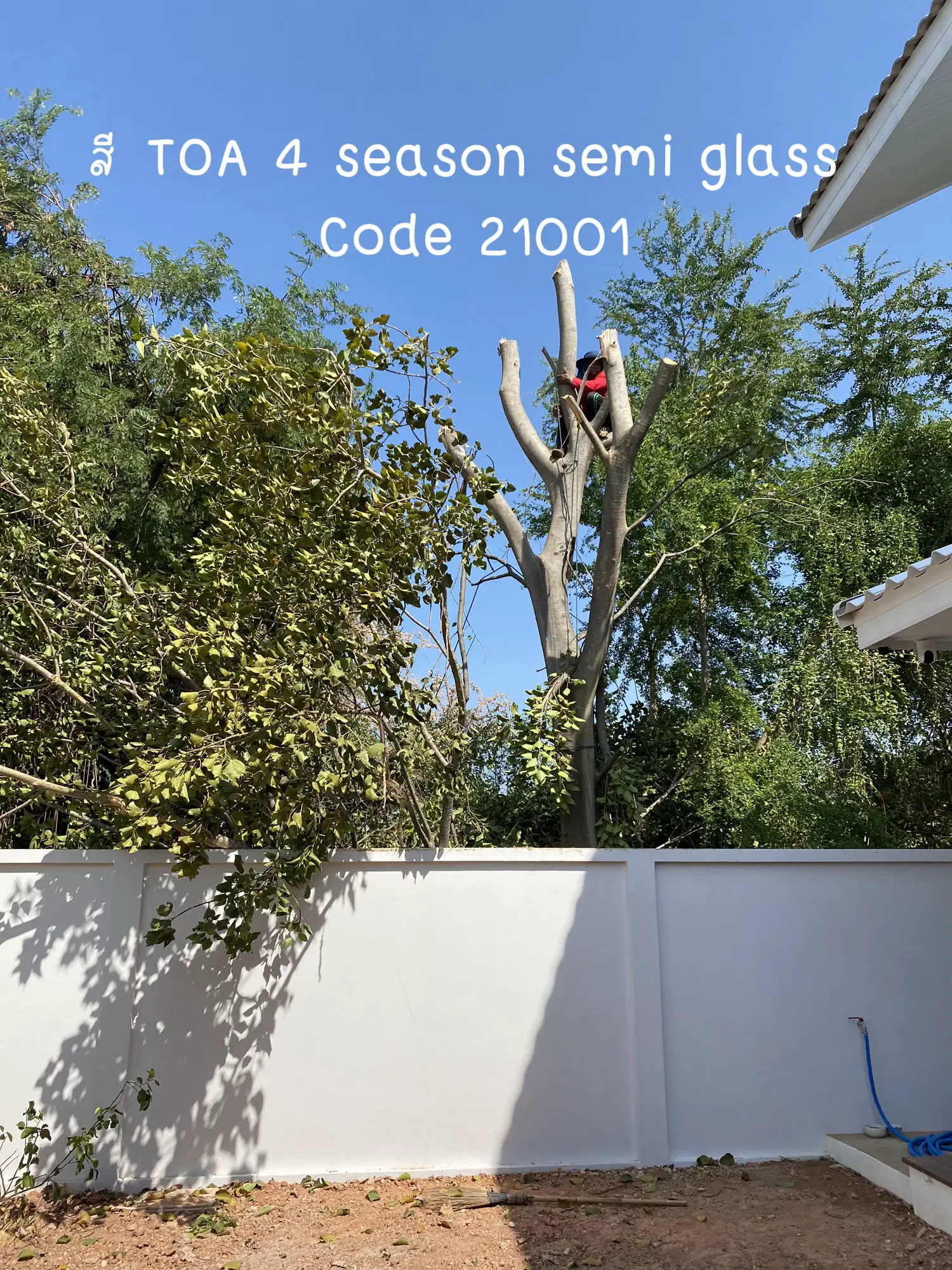 รีวิวสีทาบ้านภายนอก Toa - การค้นหาใน Lemon8