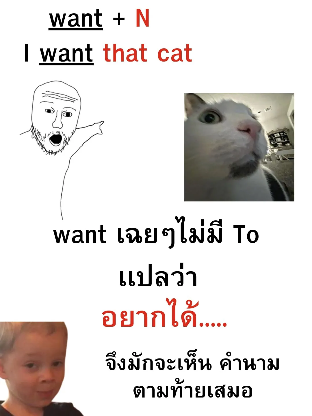 สาระสั้น (Sarason) want to กับ want ต่างกันยังไงนะ | แกลเลอรีที่โพสต์โดย EnglishWithPoom | Lemon8