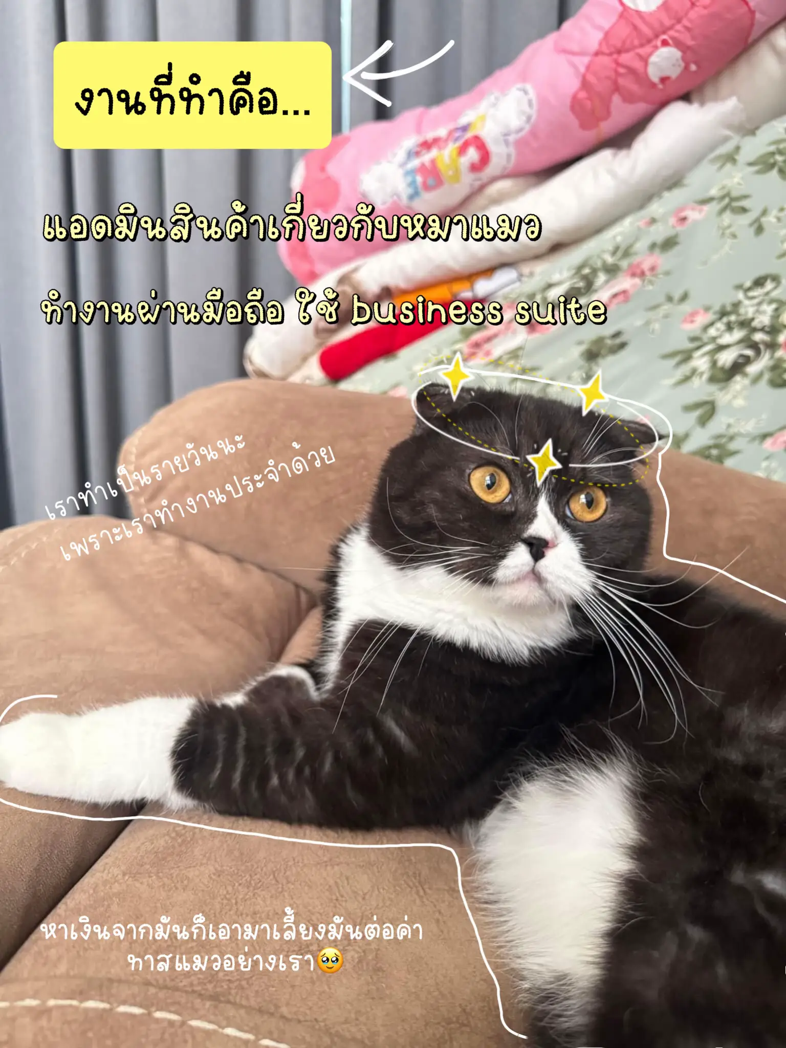 Share money - safe, legal. | Gallery posted by Bunmee | Lemon8