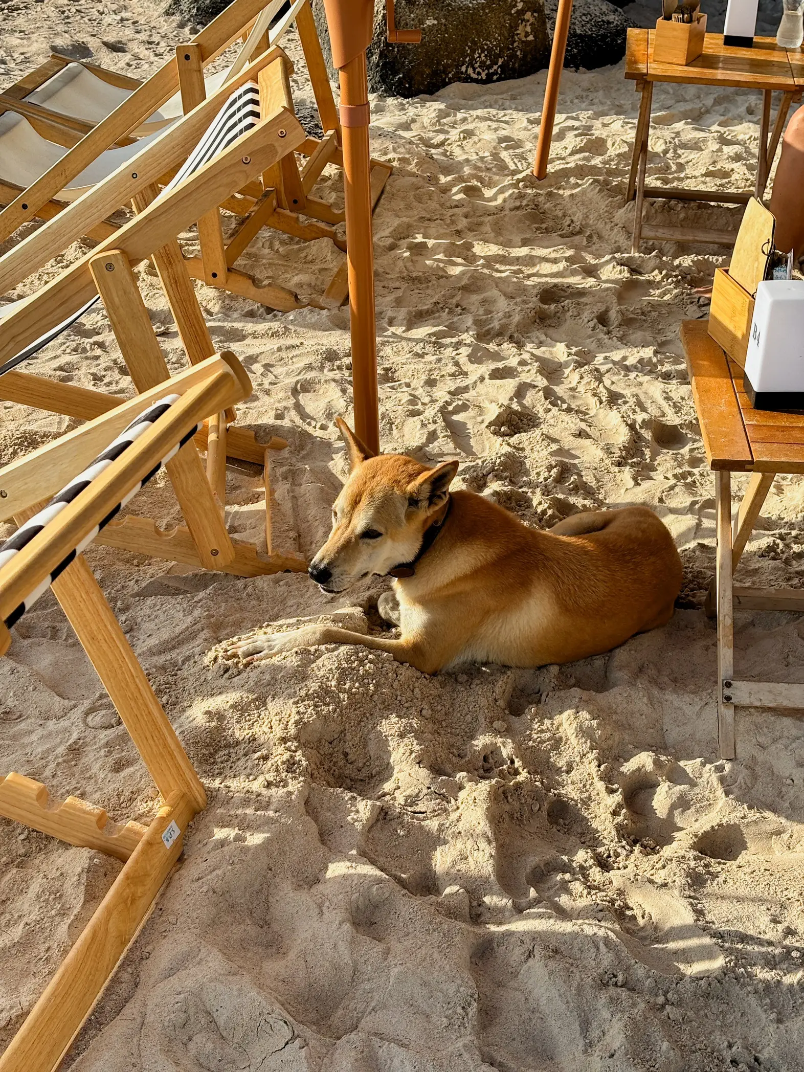 Cactus คาเฟ่ ~ เกาะเต่า | แกลเลอรีที่โพสต์โดย kwg.st | Lemon8