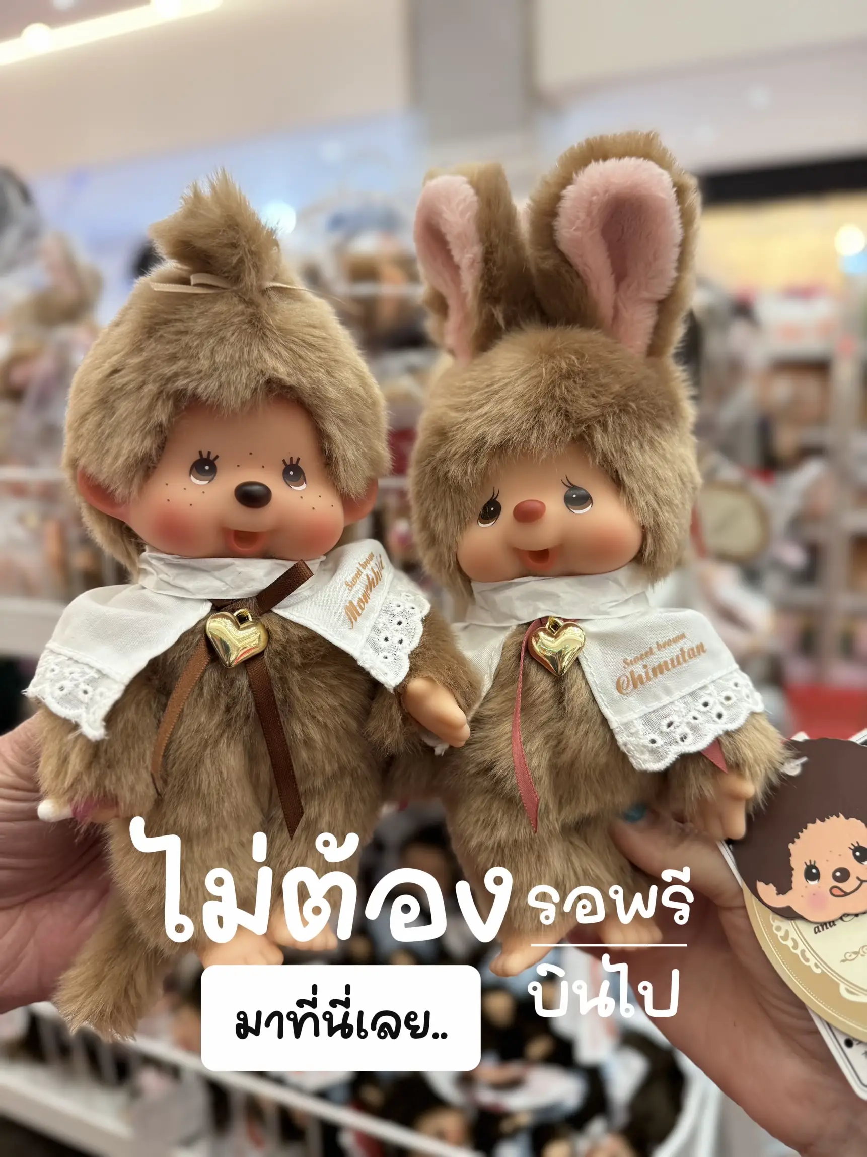 Monchhichi ยกมาไว้ที่นี่แล้ว.. | แกลเลอรีที่โพสต์โดย ป้ายยาเพลินๆ | Lemon8