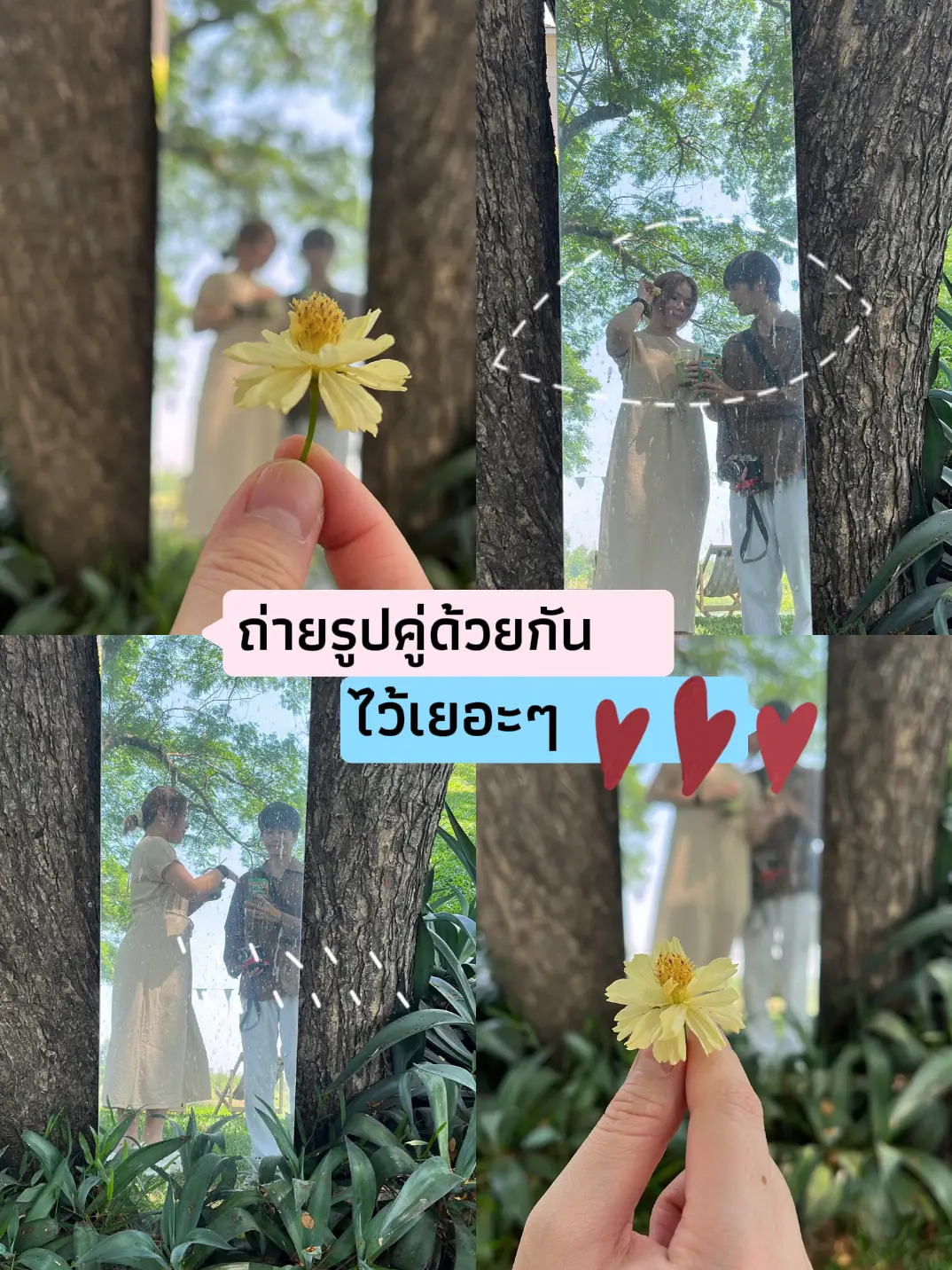 LDR ทำยังไงให้รอด ? | แกลเลอรีที่โพสต์โดย bam 뱀。 | Lemon8