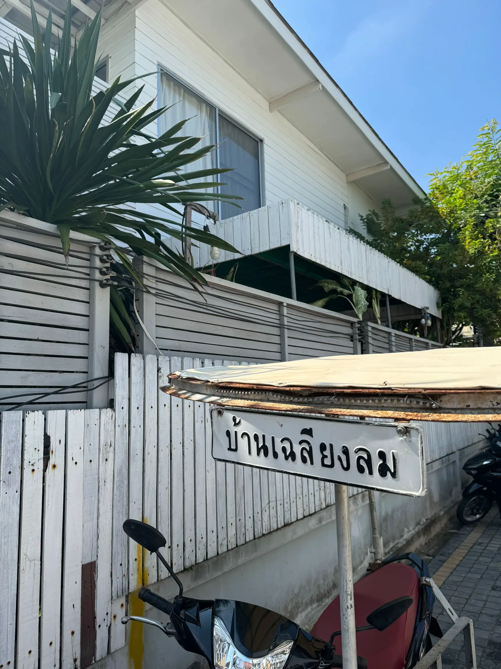 Koh Laan | แกลเลอรีที่โพสต์โดย Aom Aom | Lemon8