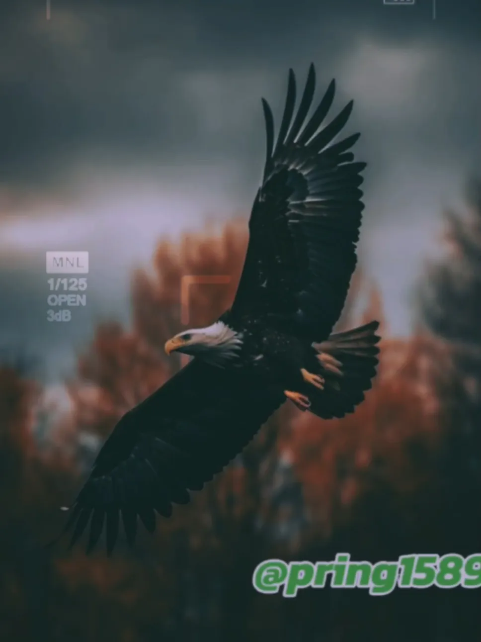 อิสระเสรี1 | วิดีโอที่เผยแพร่โดย Pring1589 | Lemon8