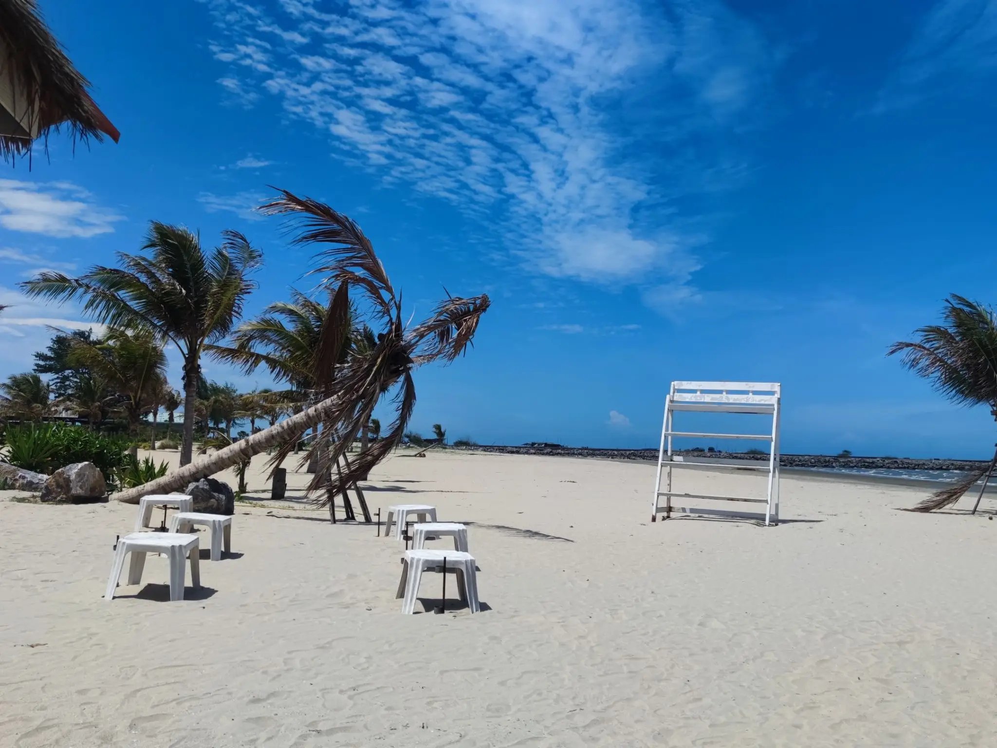 Chalamx - การค้นหาใน Lemon8