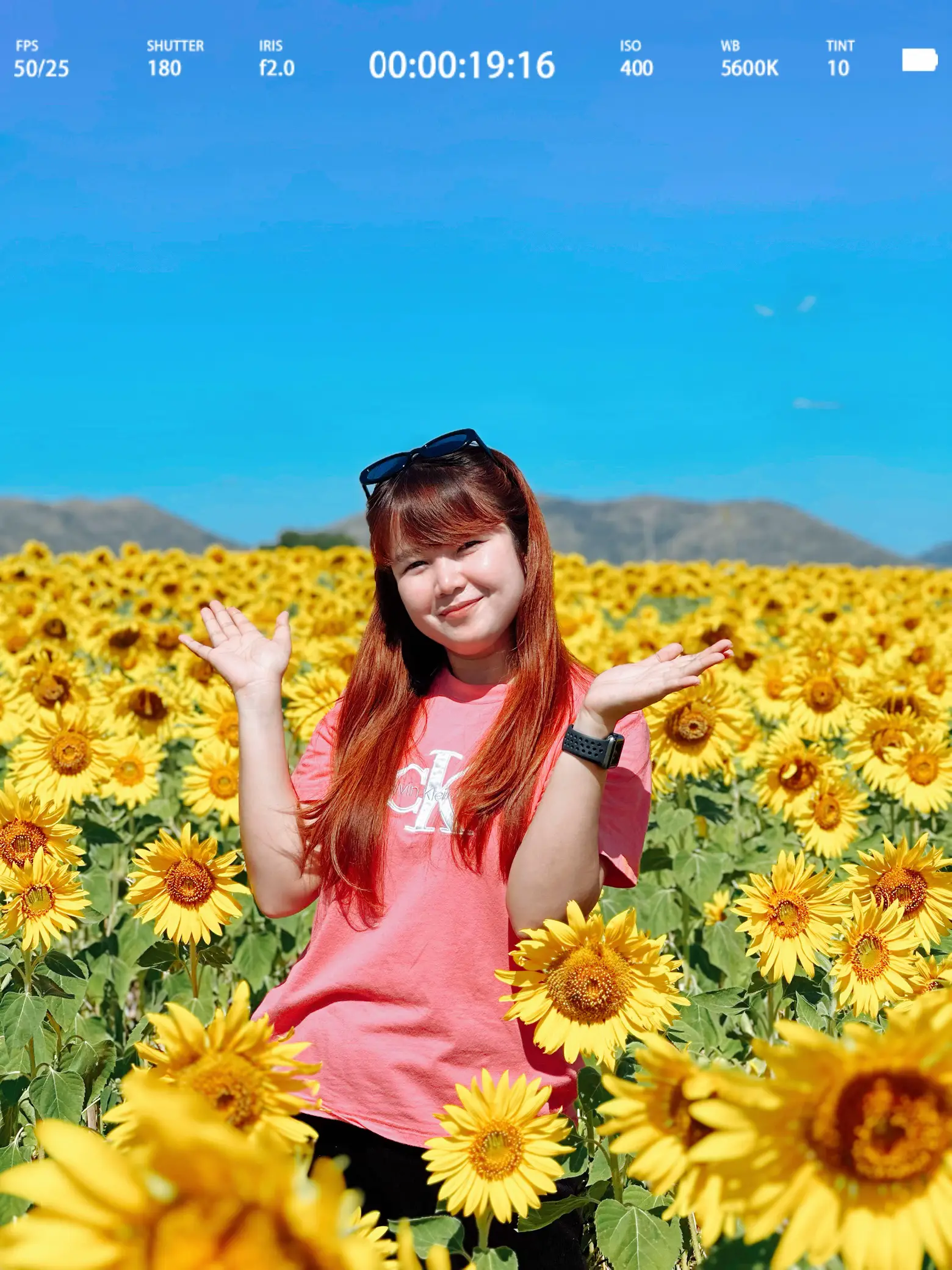 sunflower @ลพบุรี | แกลเลอรีที่โพสต์โดย Yuy.Areerut | Lemon8