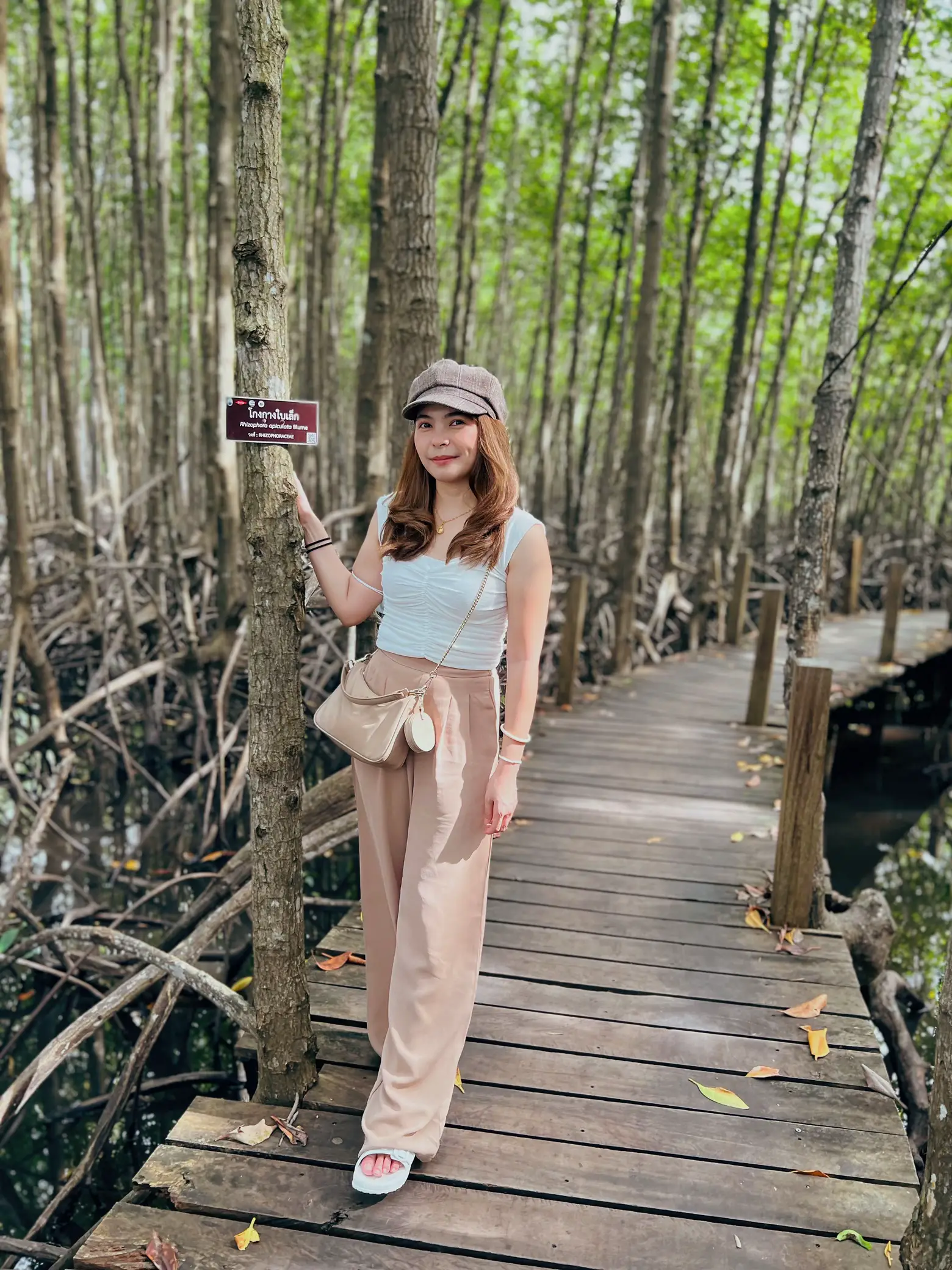 🌳 Fields of gold. Gang-down, Rayong Mon. 🌳 | Gallery posted by MeawnamZ Namtan | Lemon8