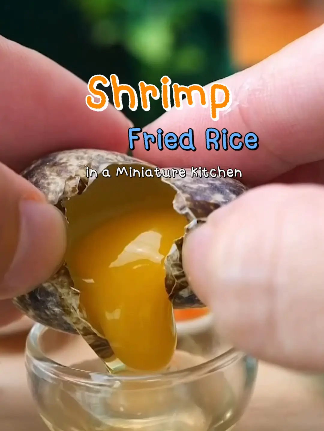 Shrimp Fried Rice | วิดีโอที่เผยแพร่โดย Miniature Foods | Lemon8