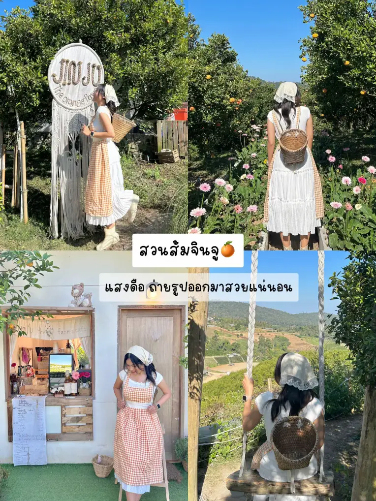 เชียงใหม่3วัน2คืน แบบจึ้งใจ 💗 | แกลเลอรีที่โพสต์โดย Momi | Lemon8