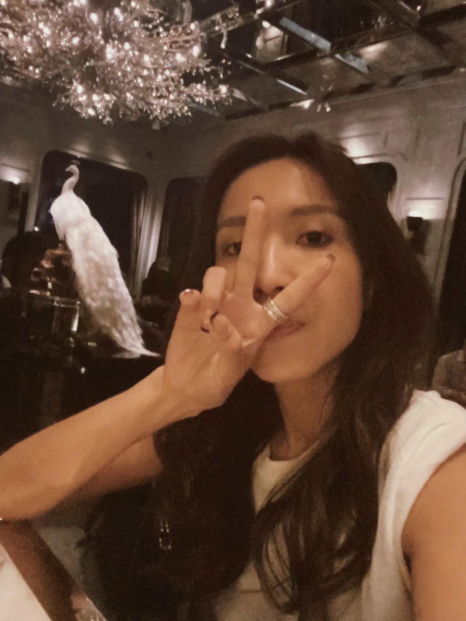 Stella | Gallery posted by Lemon_PM | Lemon8