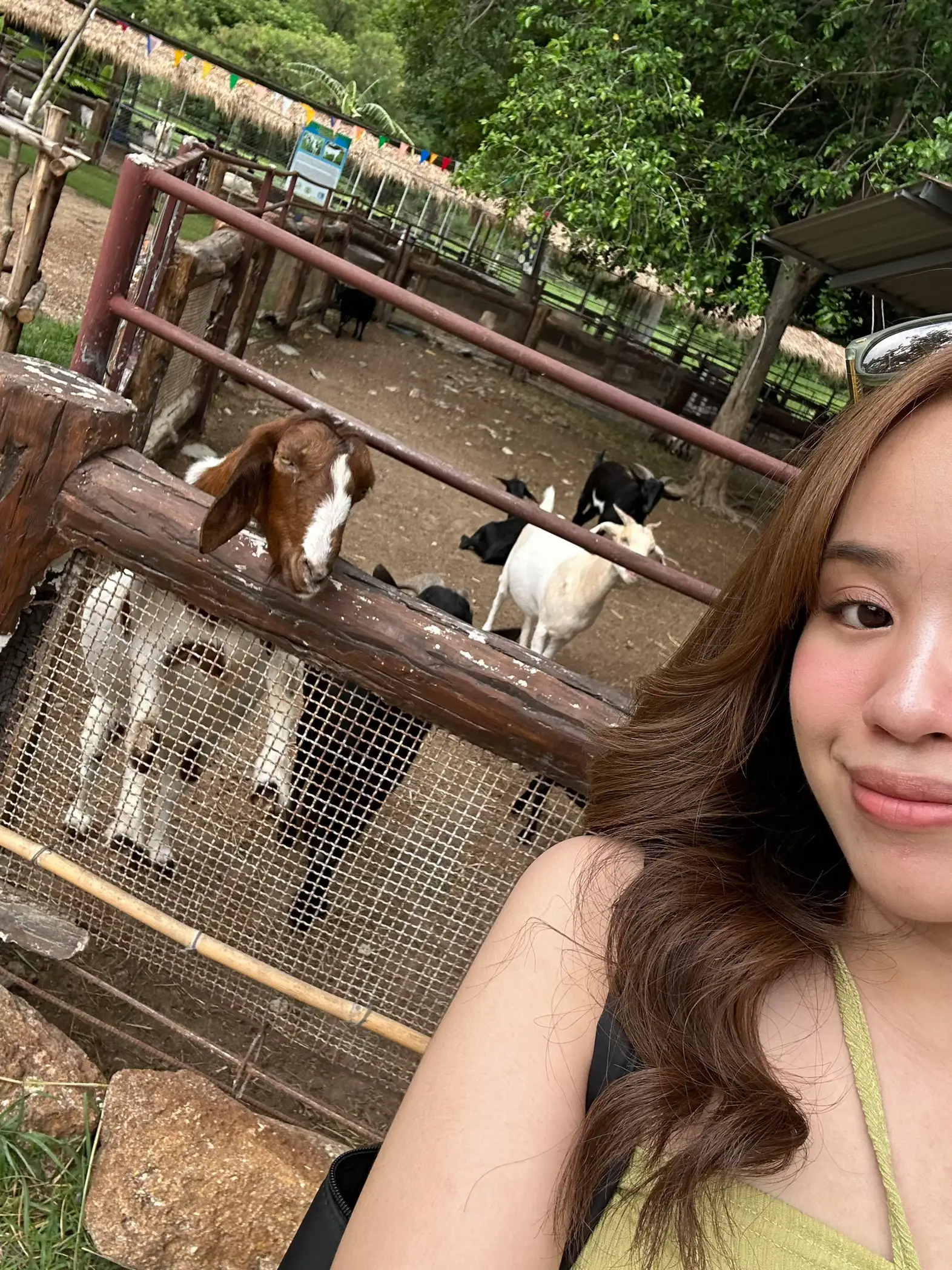 สีผมน้ำตาลเทาอ่อนสว่าง (Silky Ash) ของ Schwarzkopf 🤎 | แกลเลอรีที่โพสต์โดย Ponsinee lamlak | Lemon8