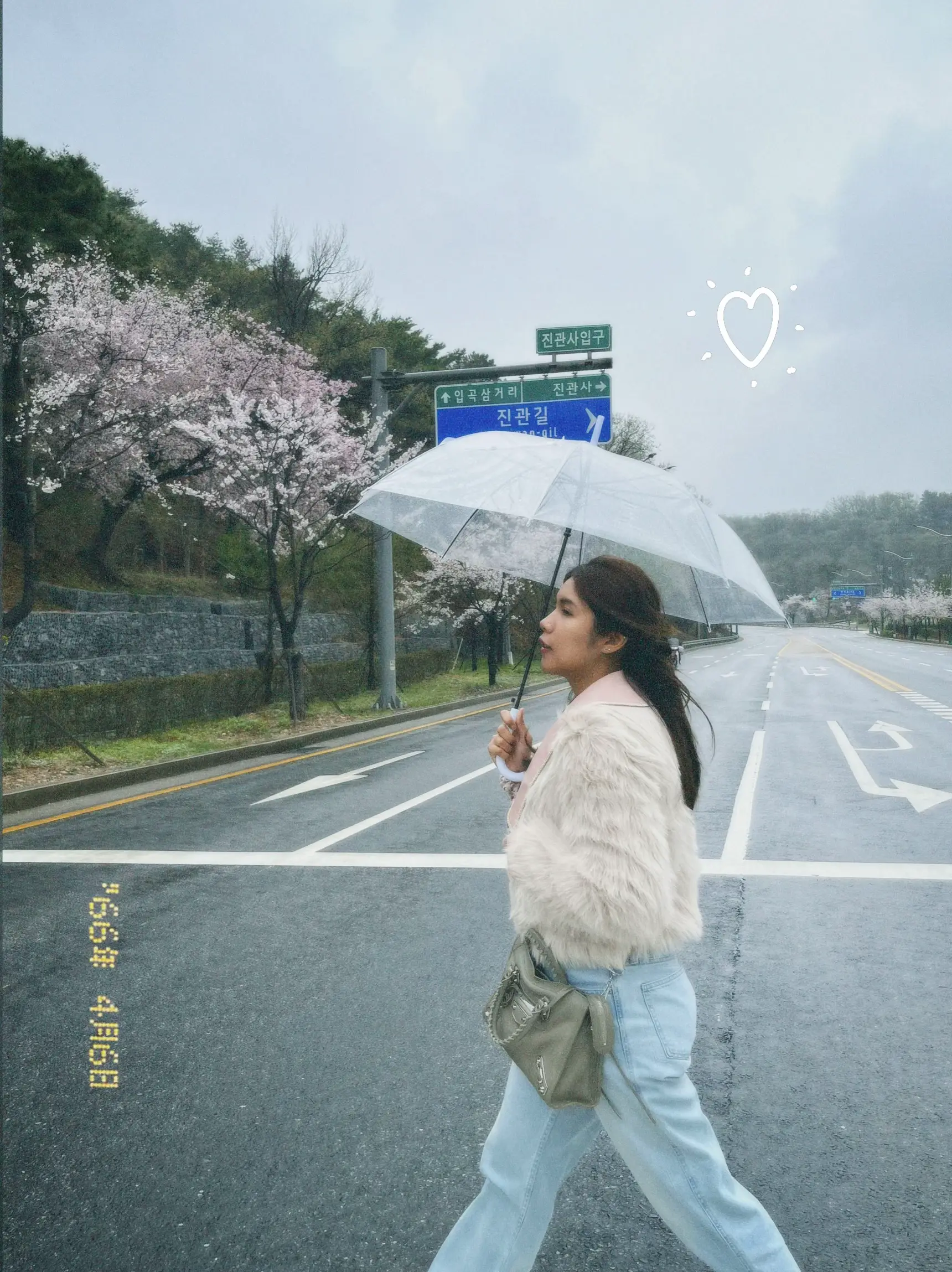 Cafe Pokpo - A Hidden Gem in Seoul - Lemon8 Search