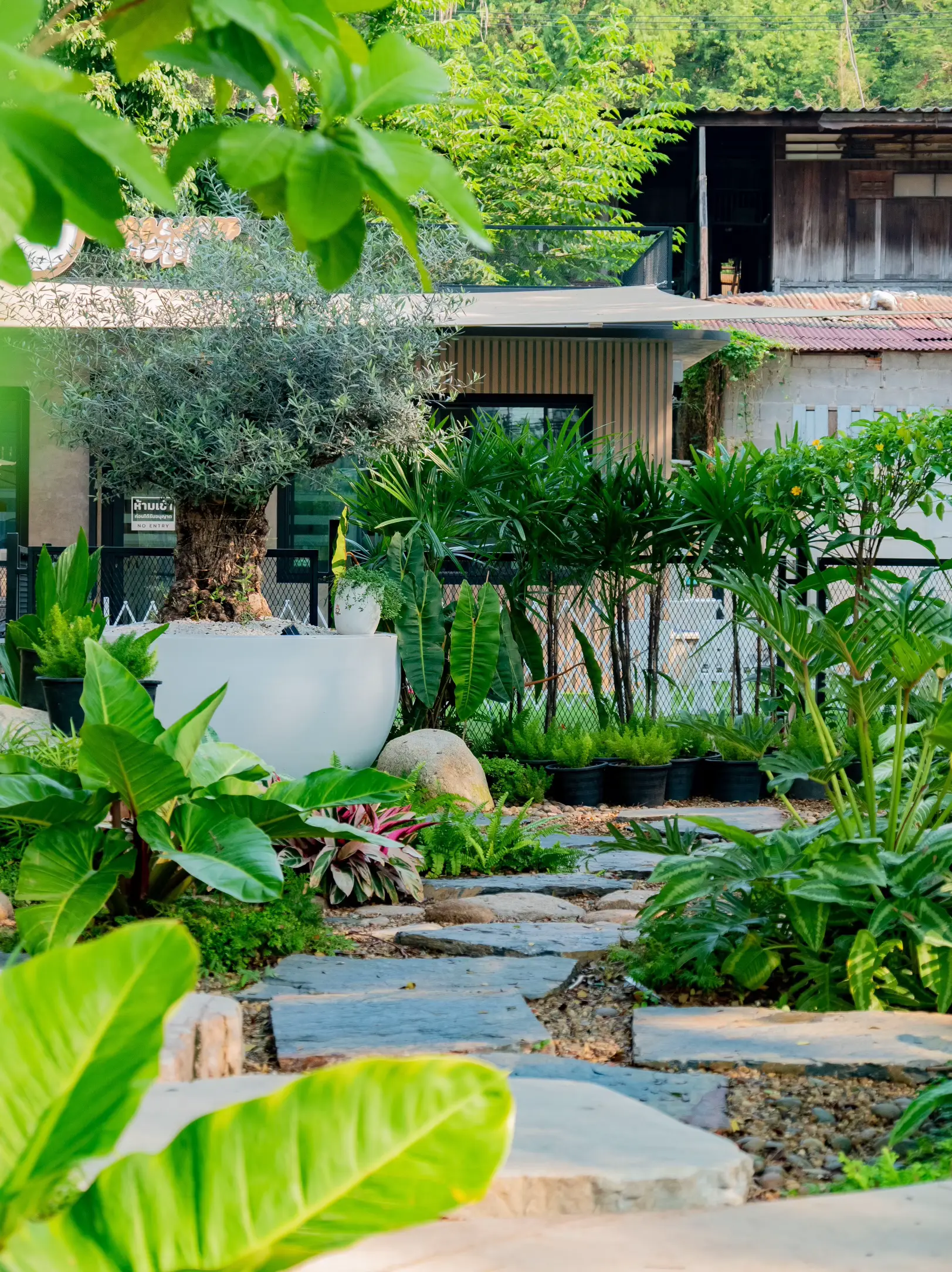 Corg and Koff | แกลเลอรีที่โพสต์โดย MYTWINP | Lemon8