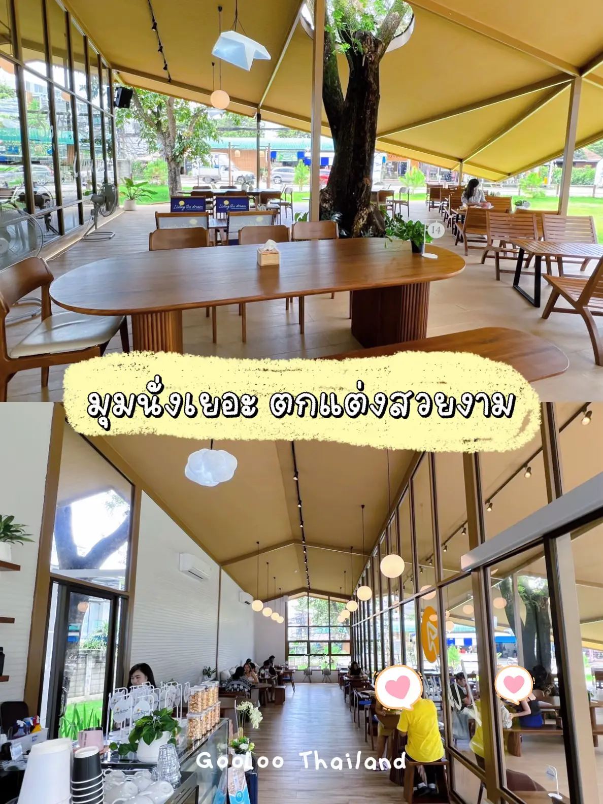 Living The Dream Cafe & Playground Chiang Mai 😍 | แกลเลอรีที่โพสต์โดย ♡ ...