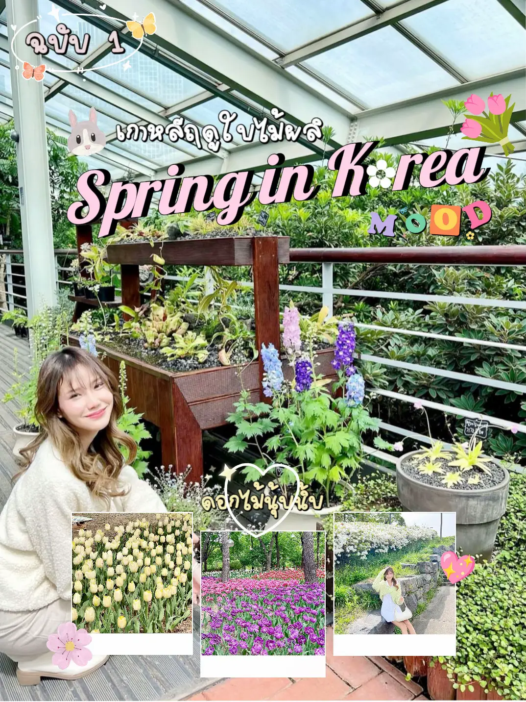 Hydrangea and Wisteria Blooms in South Korea - การค้นหาใน Lemon8