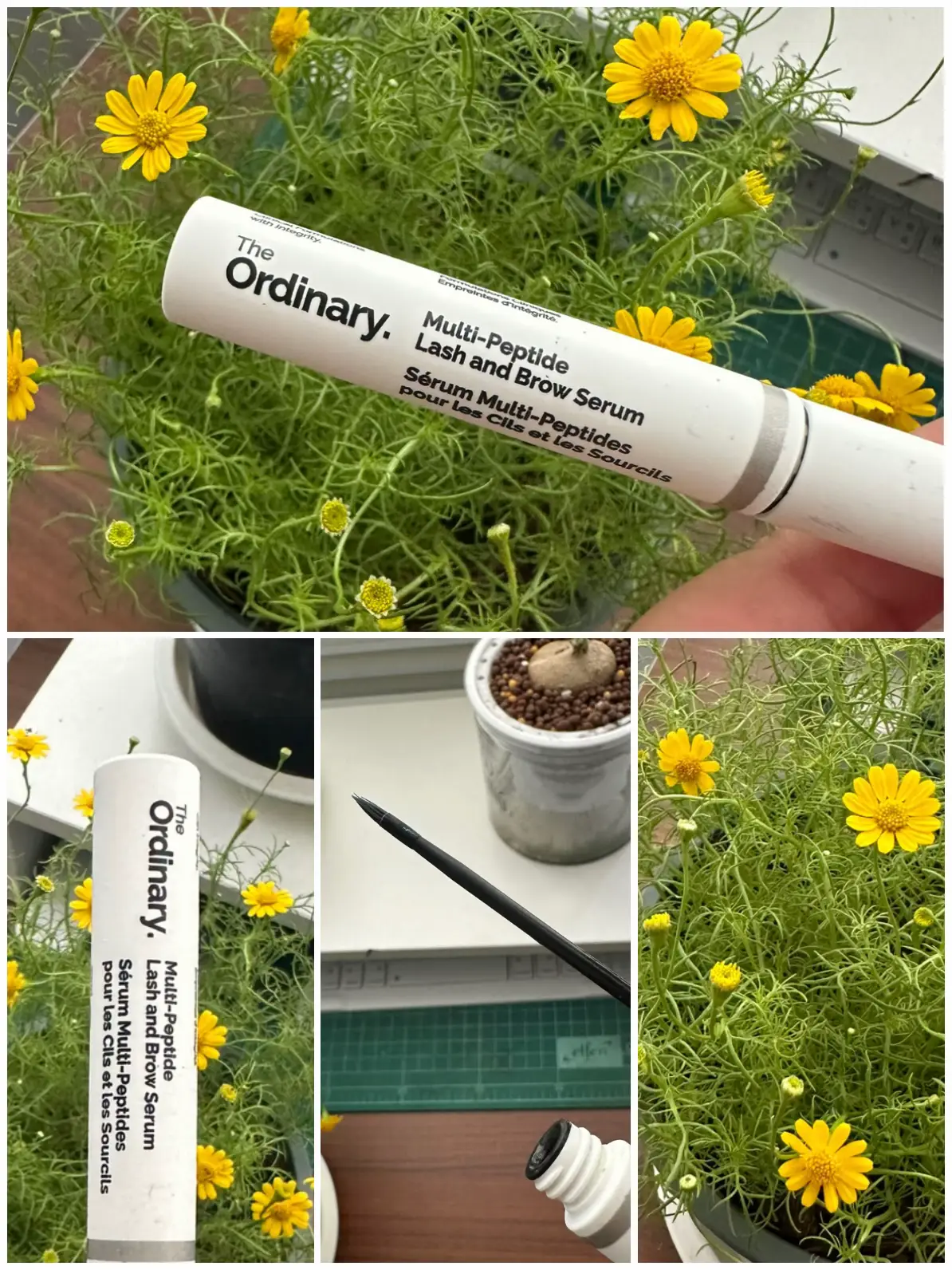 ริวิวหลังจากที่ได้ใช้เซรั่มบำรุงขนตา The Ordinary | แกลเลอรีที่โพสต์โดย ...