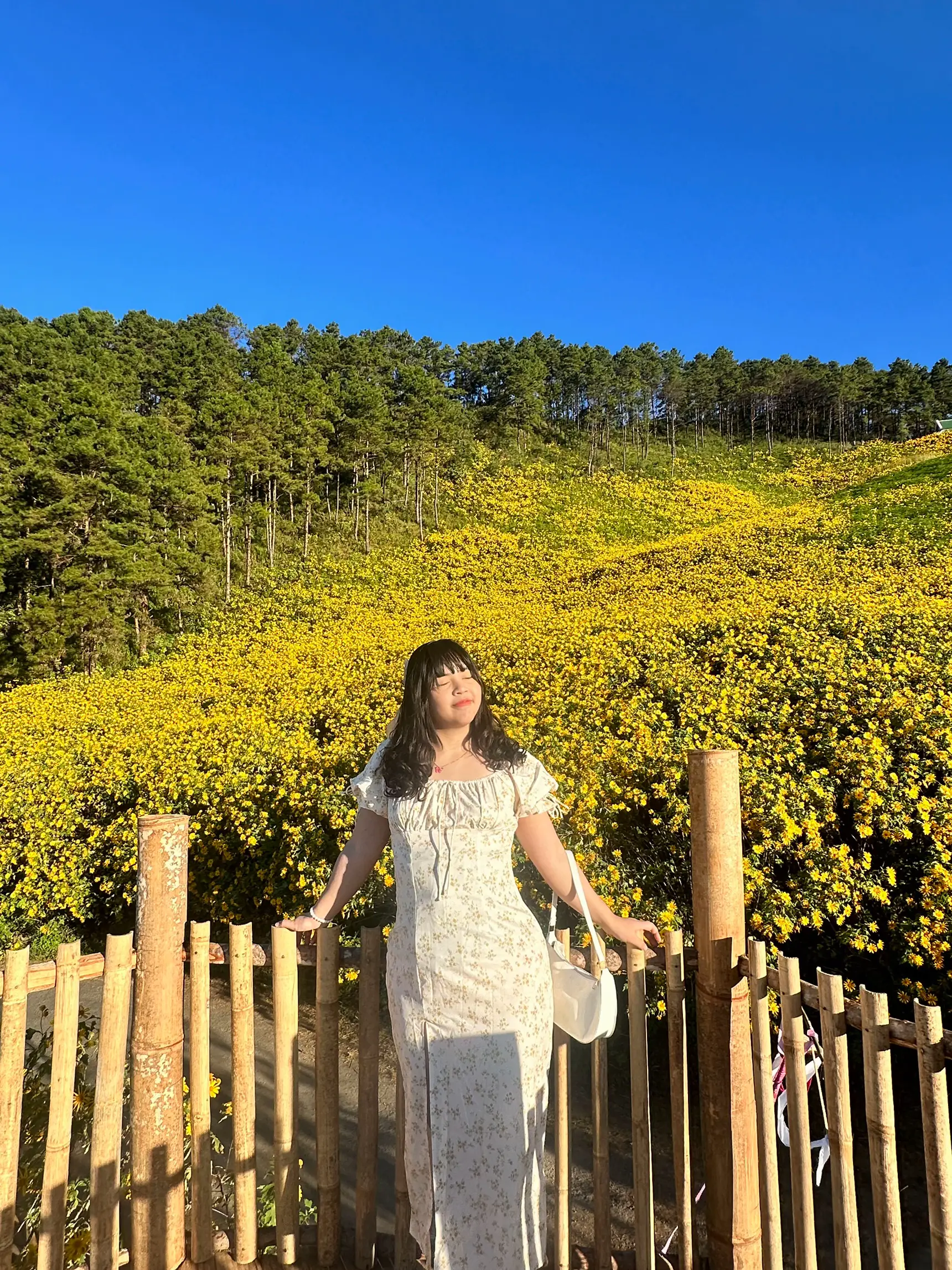 ทุ่งบัวตองดอยแม่อูคอ | แกลเลอรีที่โพสต์โดย CH OM | Lemon8