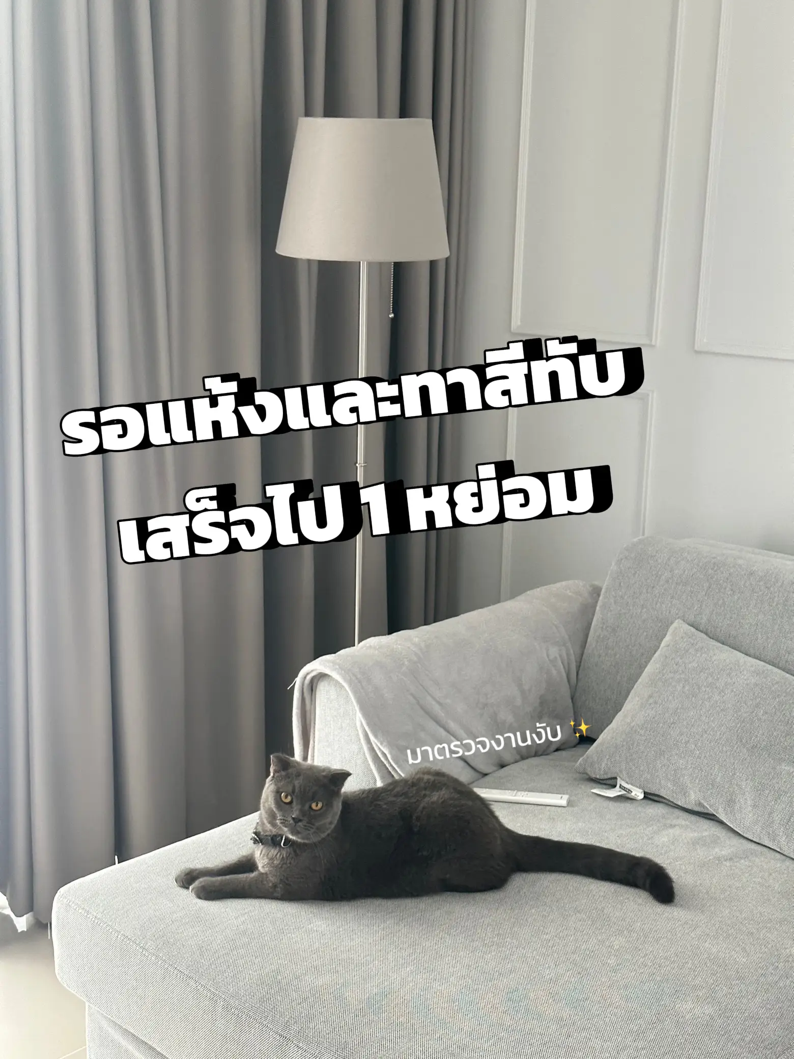 ชวนตกแต่ง“คิ้วผนัง”หรูหราแบบ Modern Classic งบหม่ถึง 1 พัน | แกลเลอรี ...