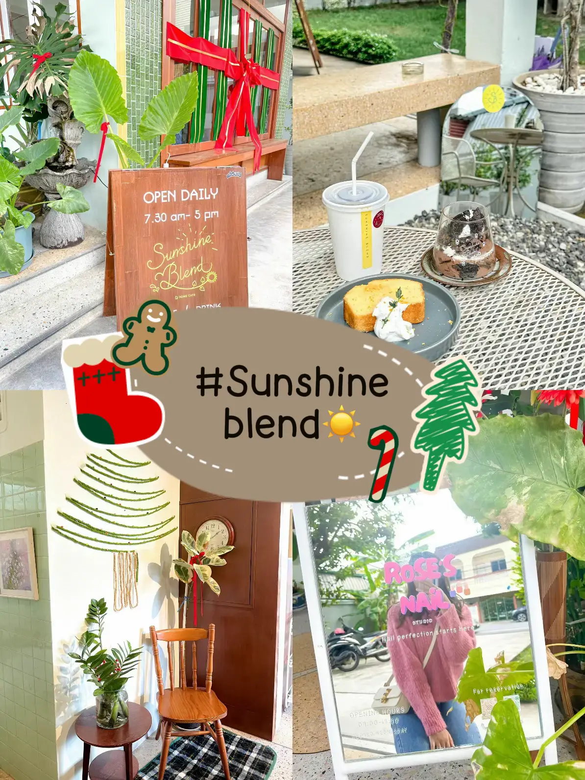 🏡 Sunshine blend คาเฟ่สงขลา สงใจ💗🌈 | แกลเลอรีที่โพสต์โดย เจ้าแป้ง 🐱🌈🌵 ...