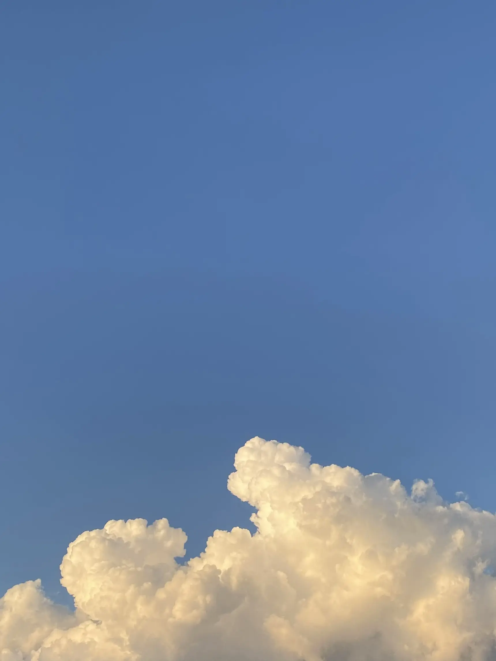 6 พิกัดเที่ยวบ้านผาฮี้ | เชียงราย 🏡⛰️🌧️🌈 | แกลเลอรีที่โพสต์โดย ewery.pump | Lemon8