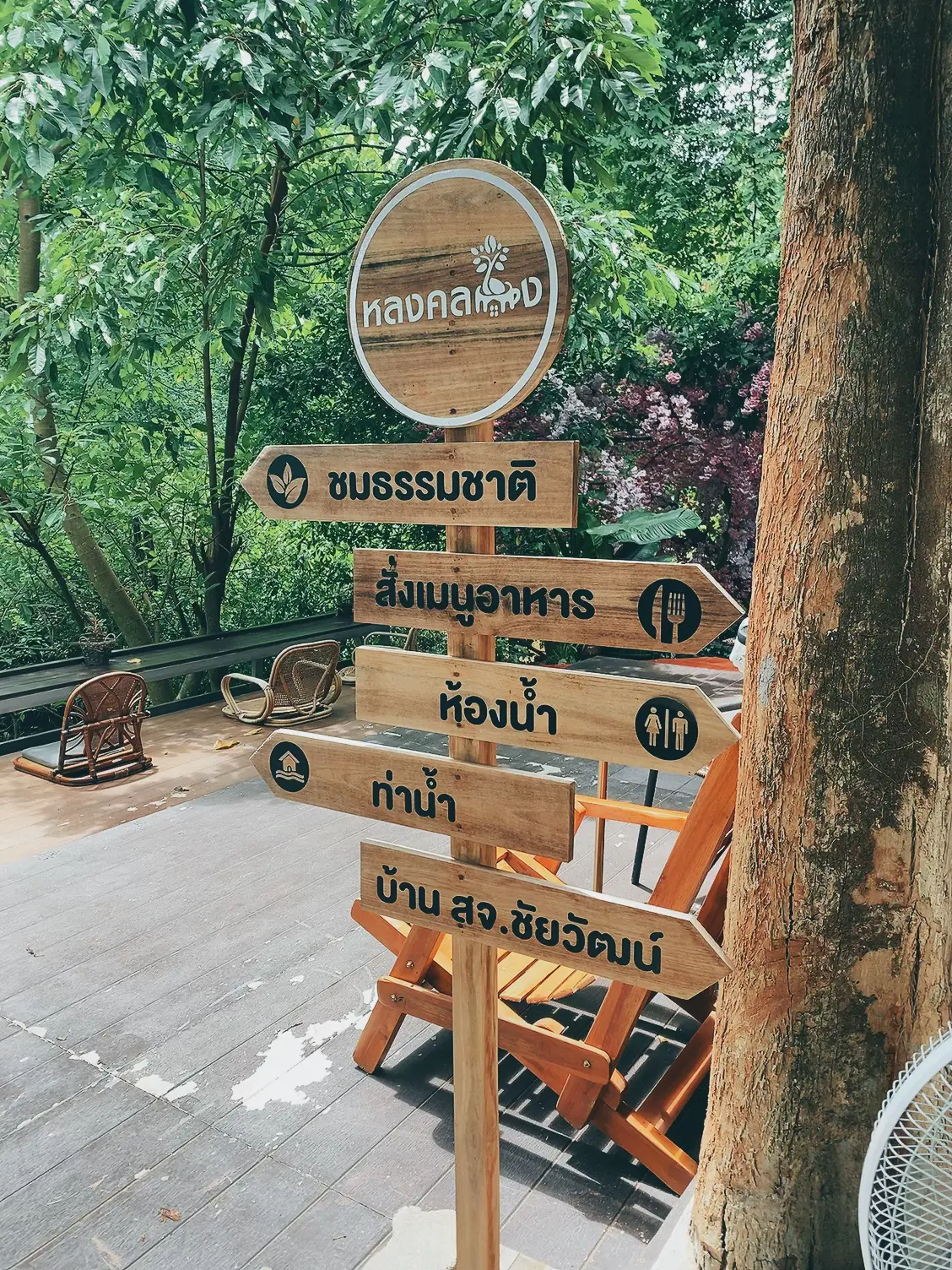 🍰 หลงคลอง คาเฟ่ ☕️ | แกลเลอรีที่โพสต์โดย Mo KB | Lemon8