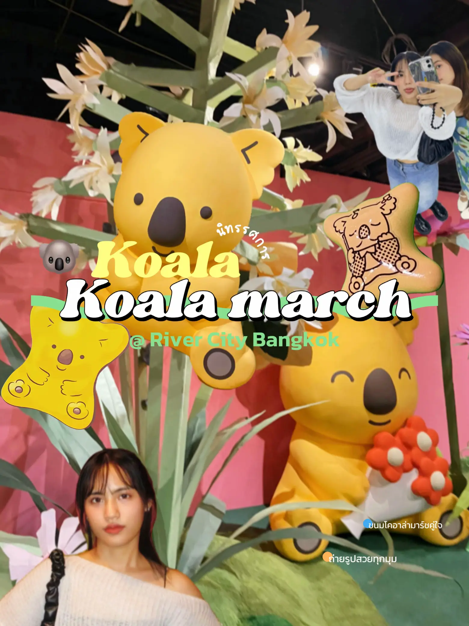 นิทรรศการ🎋🐨 Koala march @rivercity | แกลเลอรีที่โพสต์โดย pinpyruh *🐰ྀི | Lemon8