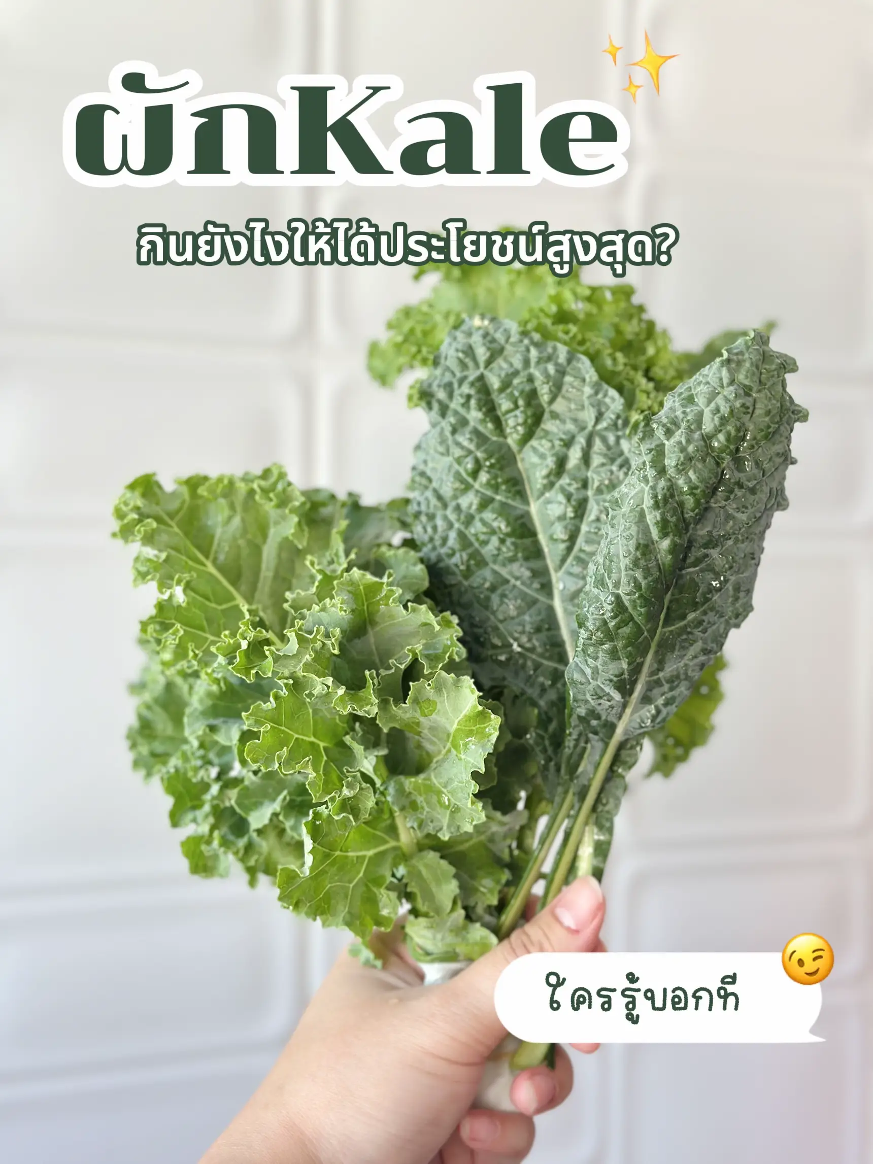 ผักเคล (Kale) ประโยชน์ โทษที่ต้องรู้ และวิธีกินให้ดีต่อสุขภาพ | แกลเลอรีที่โพสต์โดย PloyPloy ...