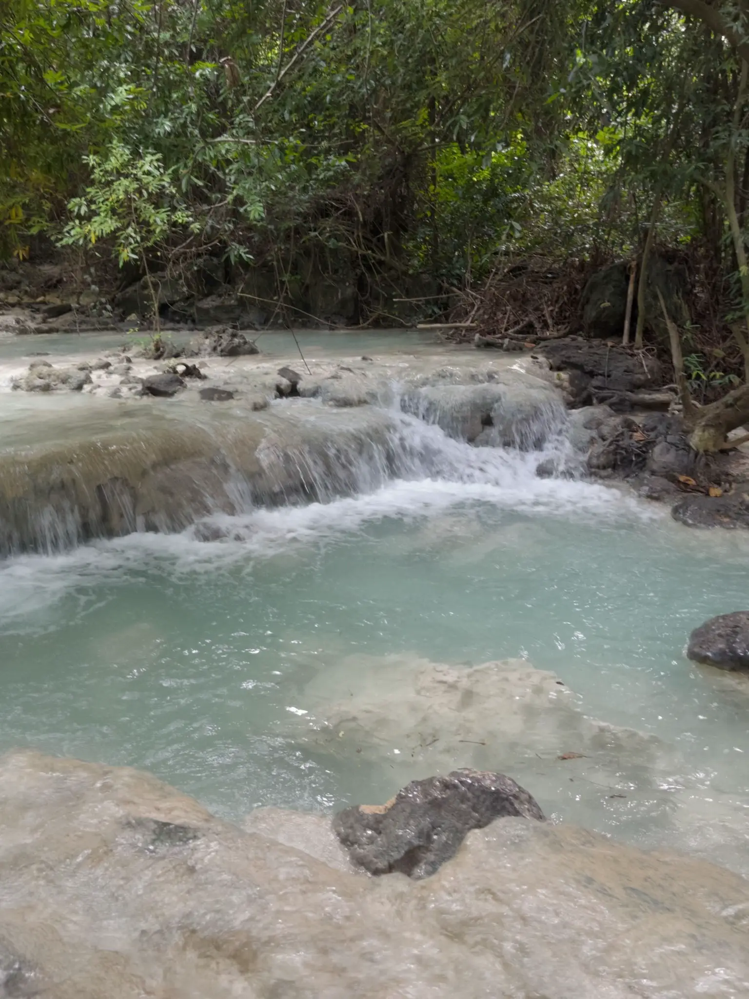 มาแต่งตัวเป็นแฟรี่ในป่ากันน🧚🏻 | แกลเลอรีที่โพสต์โดย Ra Ri | Lemon8