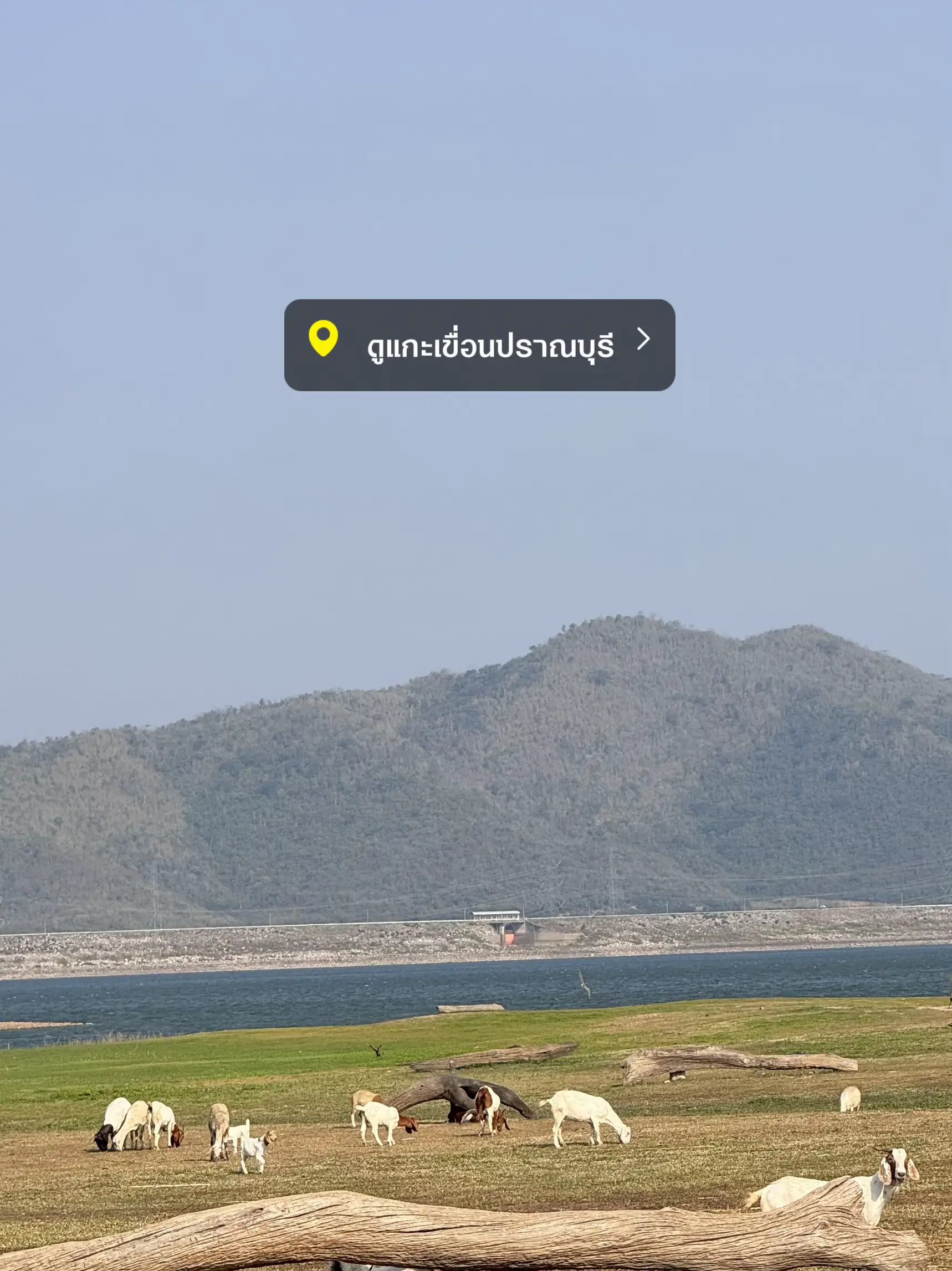 ดูแกะเขื่อนปราณบุรี🐐 | แกลเลอรีที่โพสต์โดย KA TAii🐇 | Lemon8