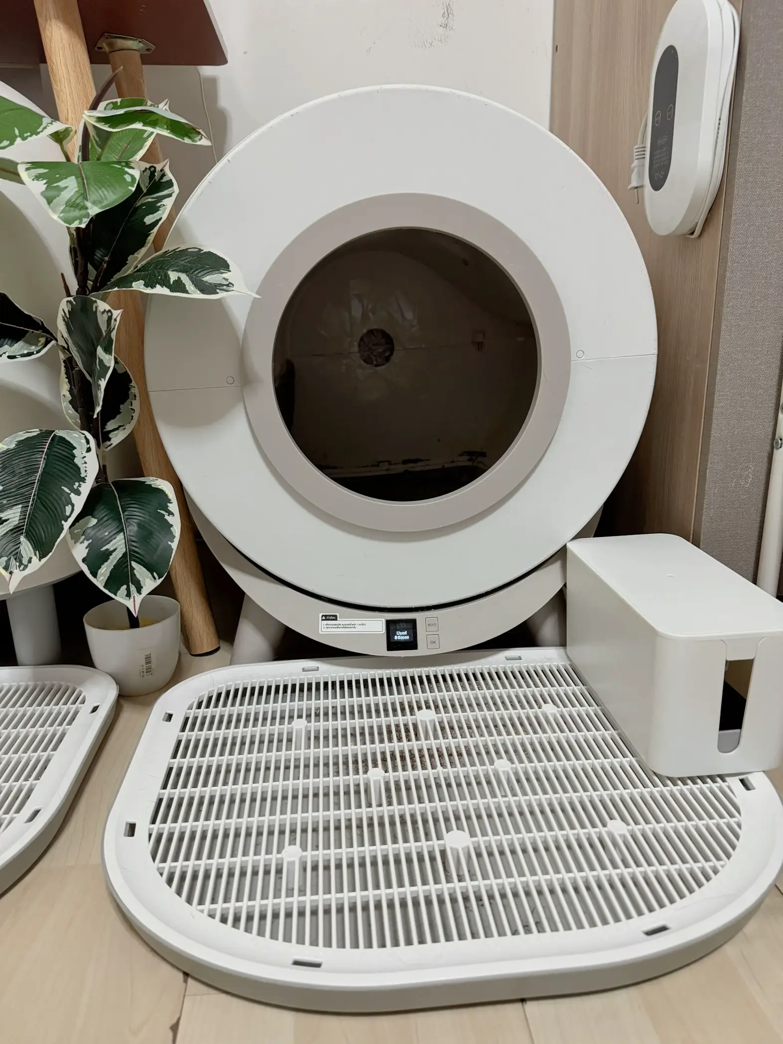 ห้องน้ำแมวอัตโนมัติ Meetcat กับ Petree🐱 | แกลเลอรีที่โพสต์โดย Fon_eats ...