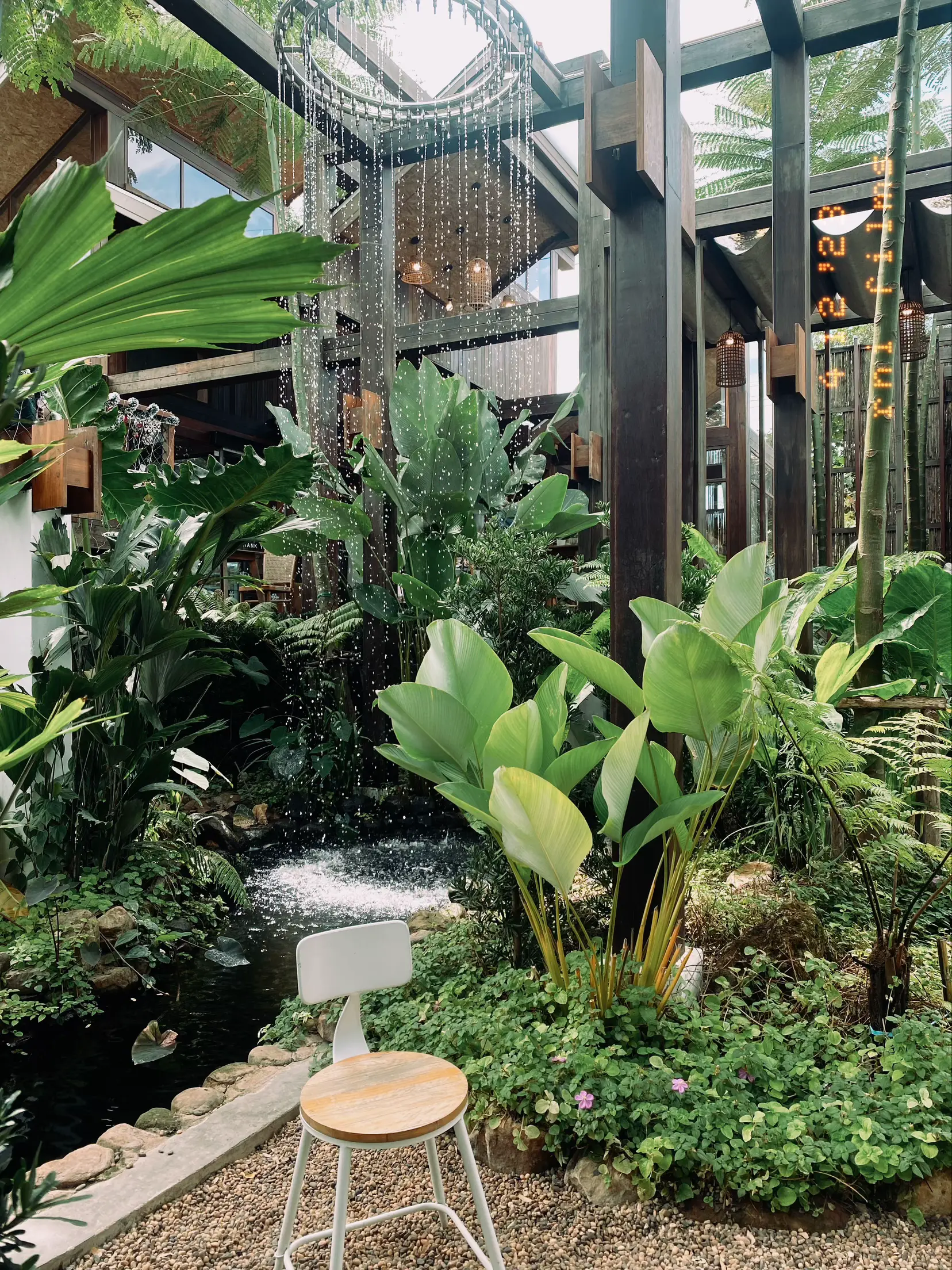 🍃คาเฟ่หมาเข้าได้ ‘Montra Cafe byไร่วังบอน’ | แกลเลอรีที่โพสต์โดย TUKTIK ...
