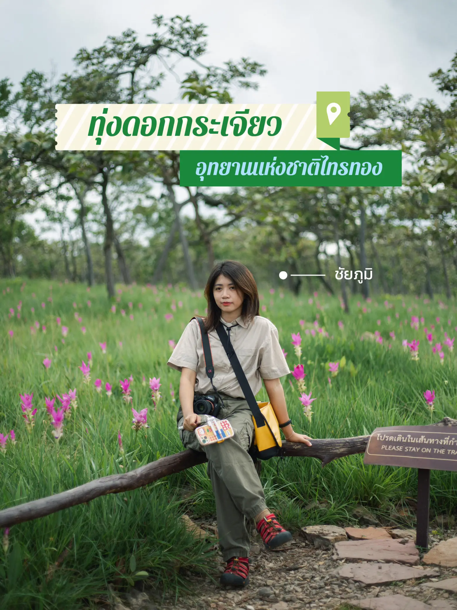 1ปีมีครั้ง ทุ่งดอกกระเจียวบานแล้ว🌷 | แกลเลอรีที่โพสต์โดย Pxm_zz | Lemon8