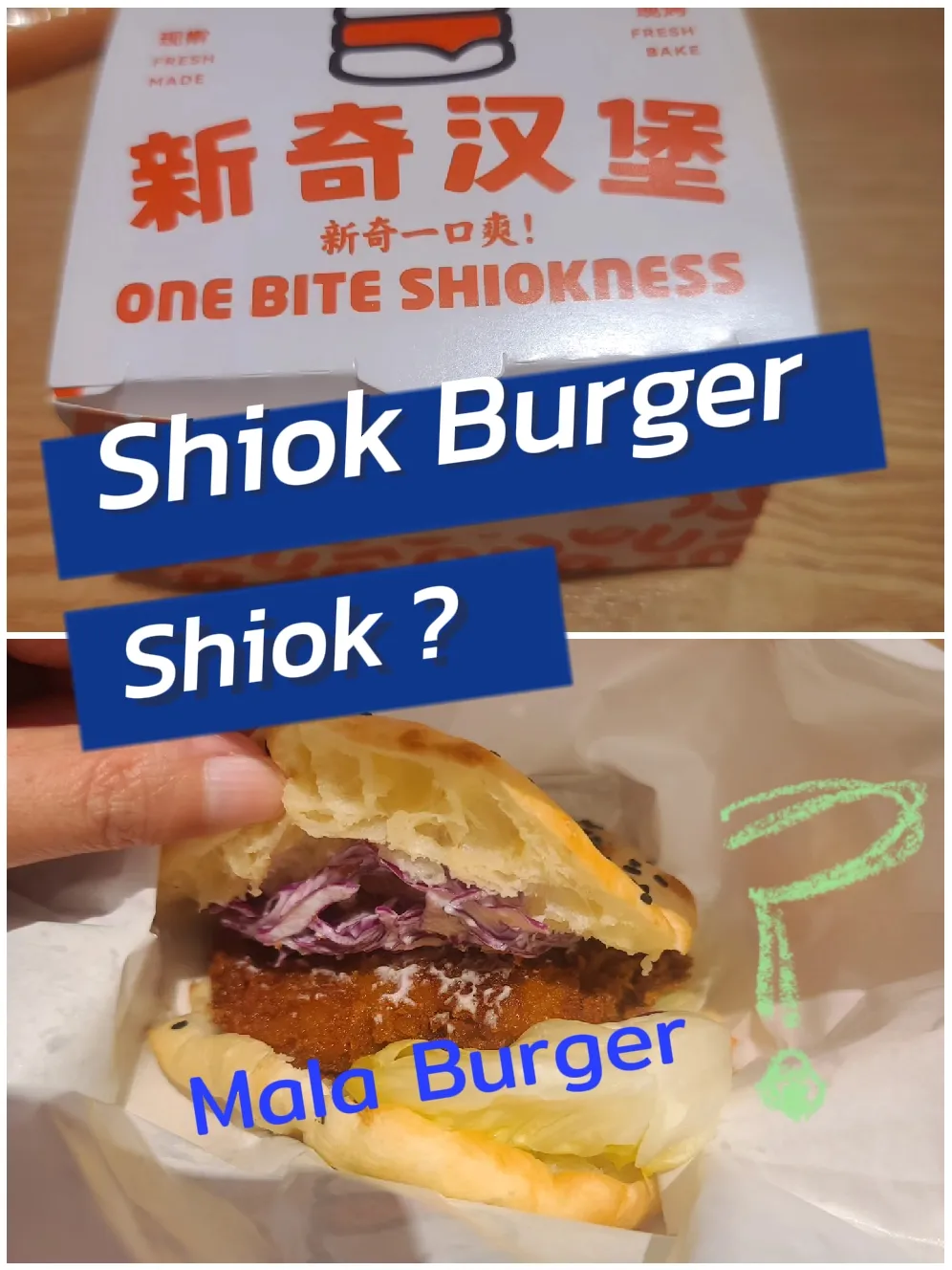 Shiok Maki Review - Lemon8 Search