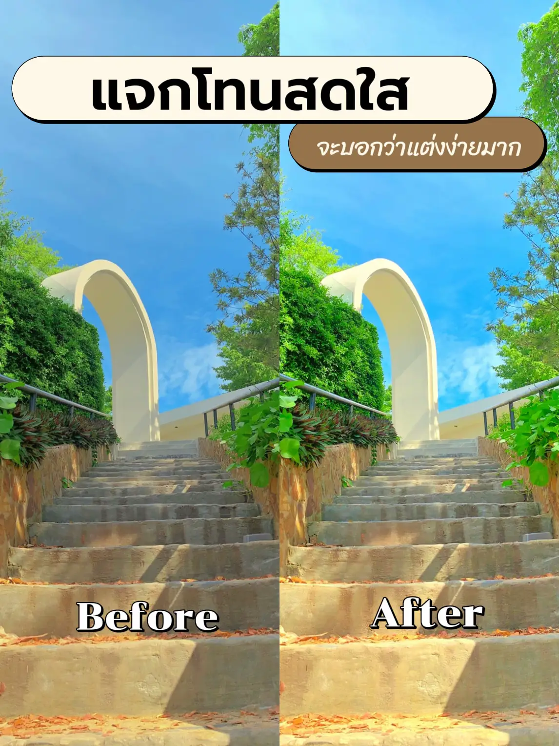 แจกโทนสดใส | แกลเลอรีที่โพสต์โดย Siapoxy | Lemon8