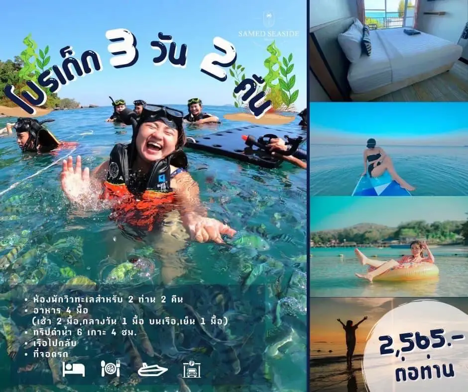 รีวิว Samed Seaside Resort เกาะเสม็ดปี 2024 คนละ 2565฿ | แกลเลอรีที่ ...