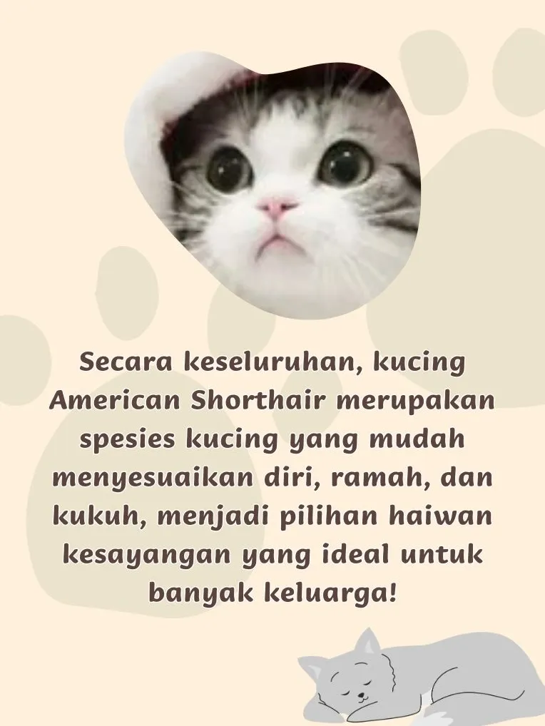jenis-jenis kucing - Pencarian Lemon8