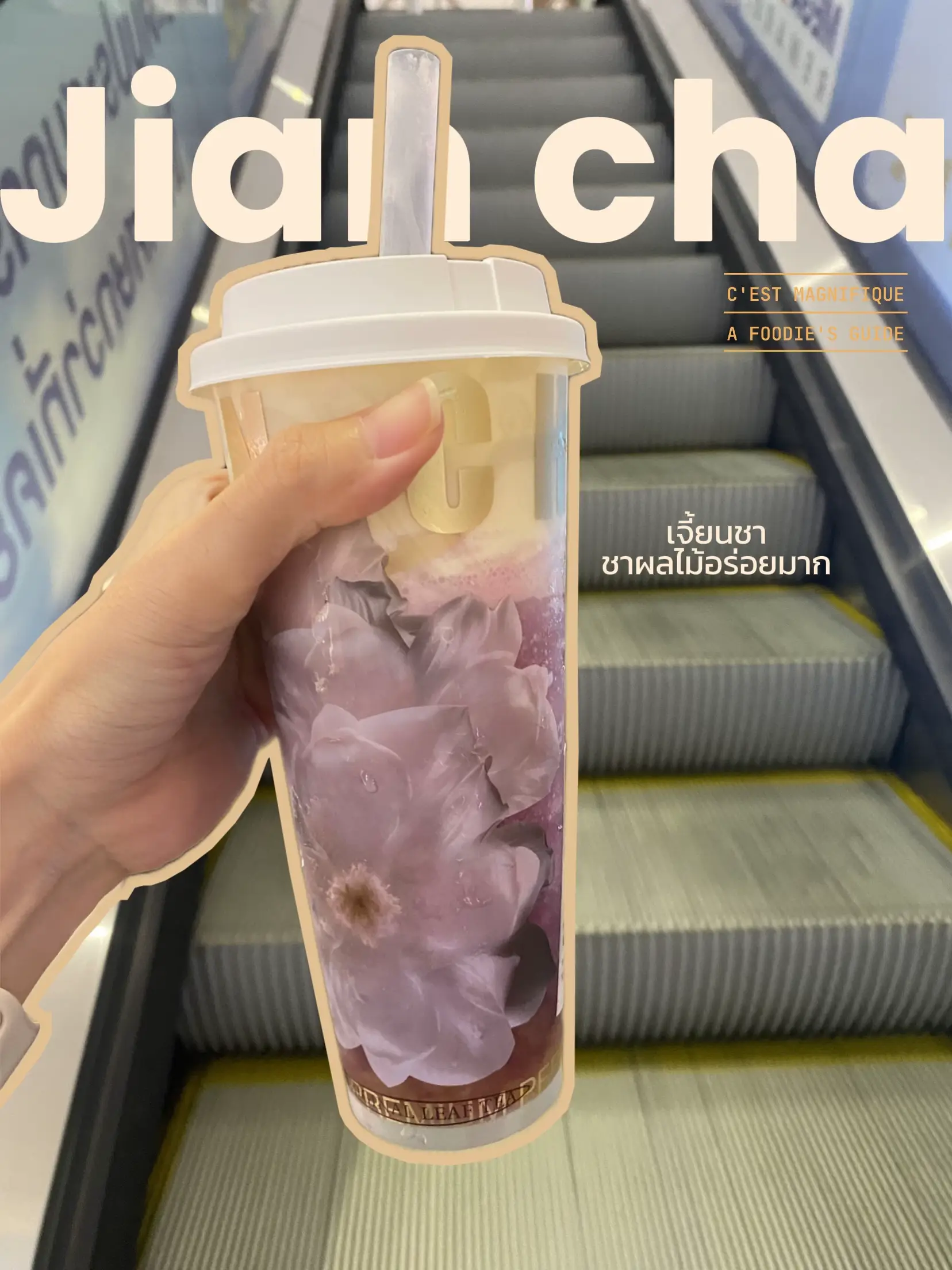 JIAN CHA Tea 见茶山 🍇 | แกลเลอรีที่โพสต์โดย danze.w | Lemon8