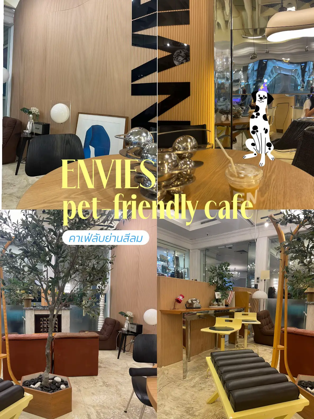 pet-friendly cafe ลับย่านสีลม (ติดแอร์) | แกลเลอรีที่โพสต์โดย ...