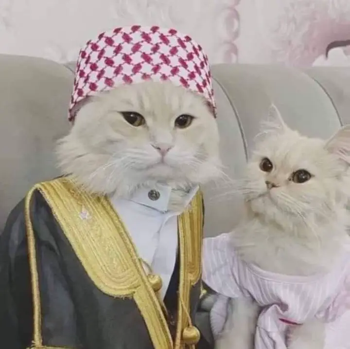 Matchy profile pic ideas with your partner 😜 | Galeri disiarkan oleh ...