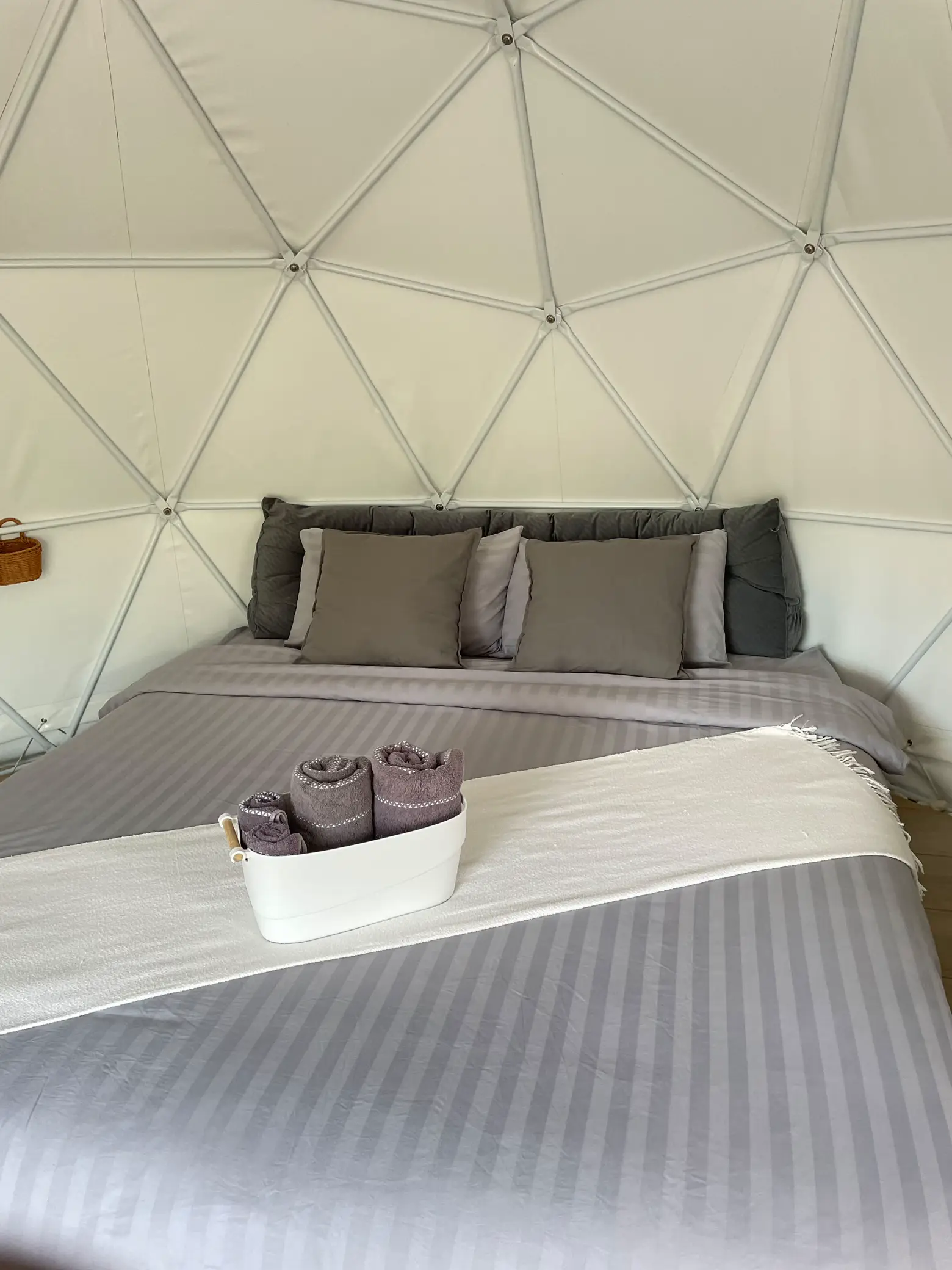 🌷Sky dome 🏕️ ที่พักโดมแบบ private เขาใหญ่ 🏔️ | แกลเลอรีที่โพสต์โดย 스노우 나타샤 | Lemon8