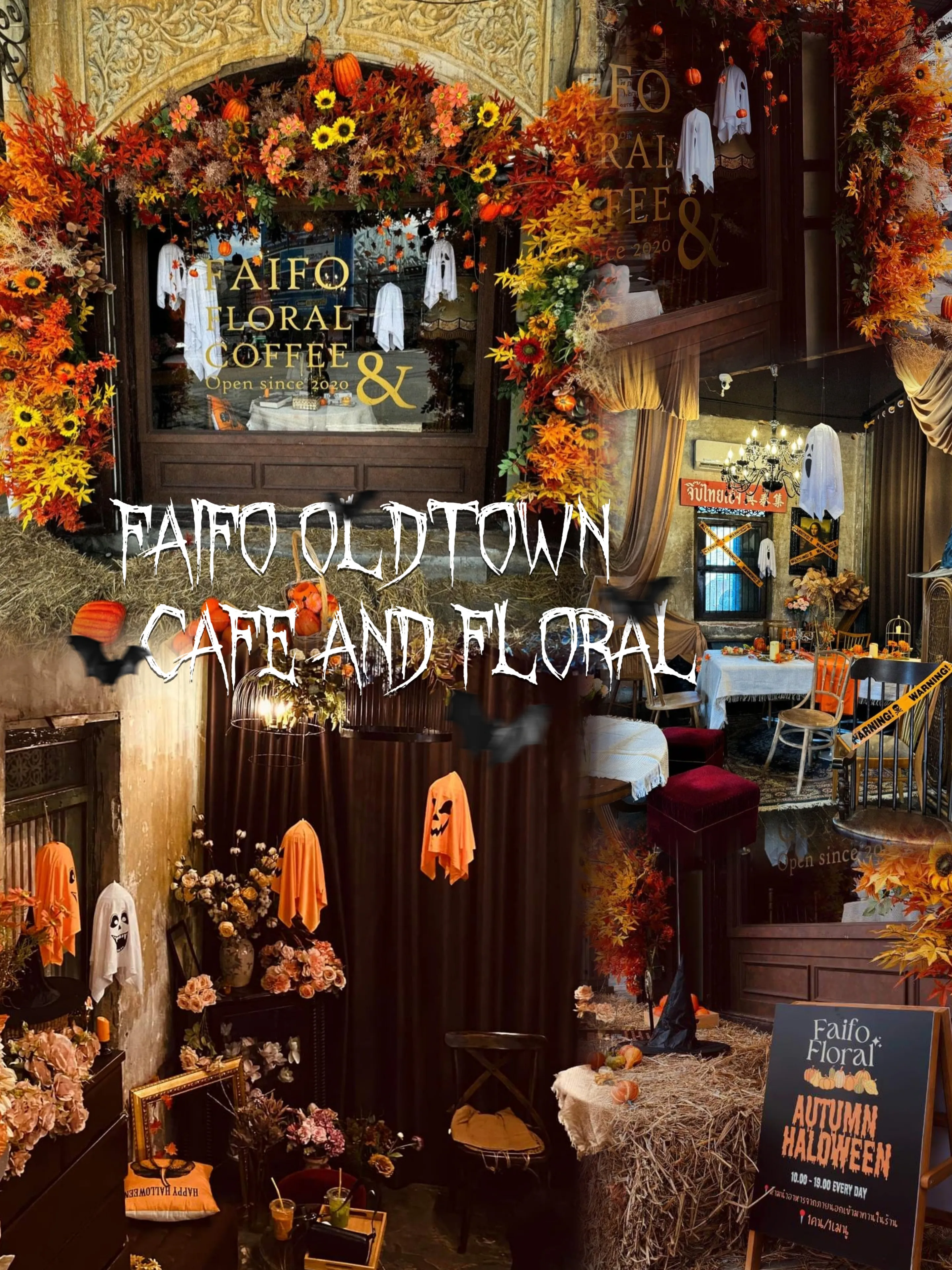 lemonick56 โพสต์ผลงานแล้ว ดูแล | วิดีโอที่เผยแพร่โดย Lemonick56 八 | Lemon8