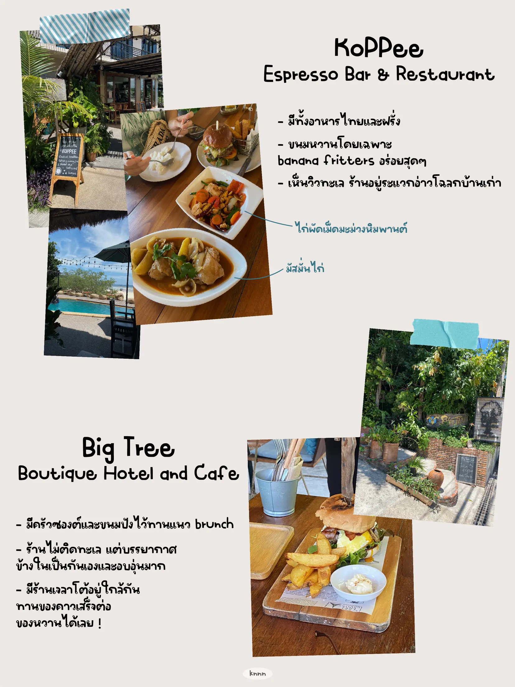 รวมมิตรร้านอร่อยบอกต่อ(บนเกาะเต่า)🍷🍽🫄🏻 | แกลเลอรีที่โพสต์โดย knnnn | Lemon8