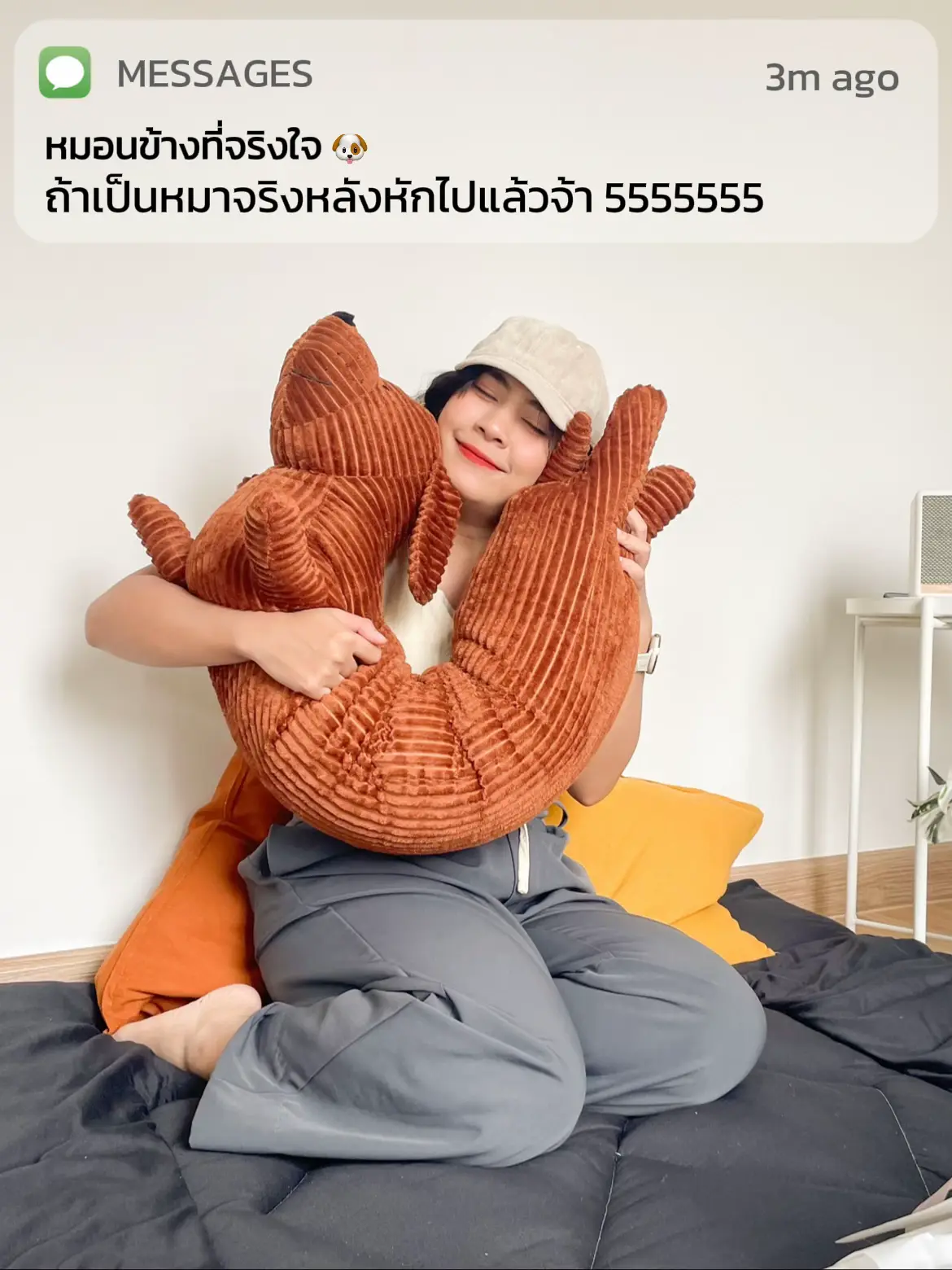 เจอแล้วหมอนข้างดัชชุนที่จริงใจ💖 | Paiimkdeed | แกลเลอรีที่โพสต์โดย Pimdeed | Lemon8