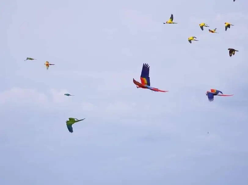 เพื่อนร่วมบินทริปนี้ | แกลเลอรีที่โพสต์โดย Freelife/time | Lemon8