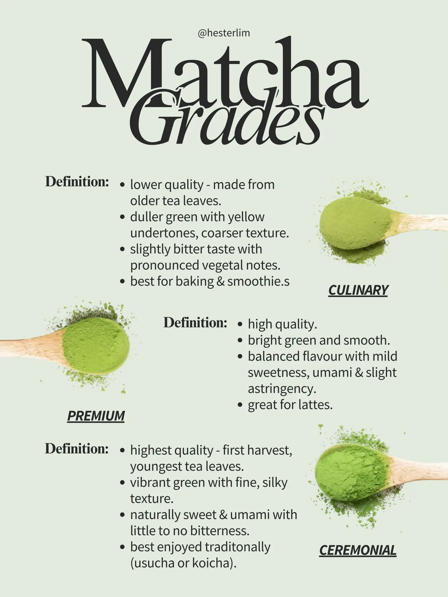 matcha 101 for beginners! 🍵 astringency? body?😵‍💫 | Gallery posted by ...