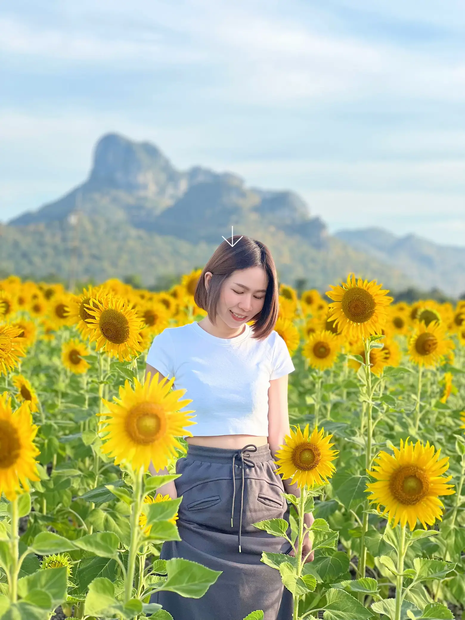 ทุ่งทานตะวันลพบุรี | แกลเลอรีที่โพสต์โดย Lada_🤍 | Lemon8