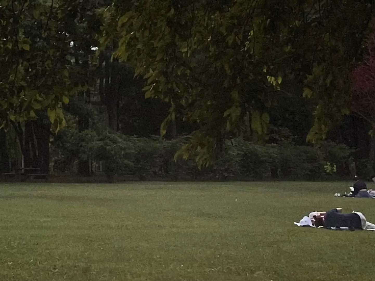 Grafolio Wallpaper - การค้นหาใน Lemon8