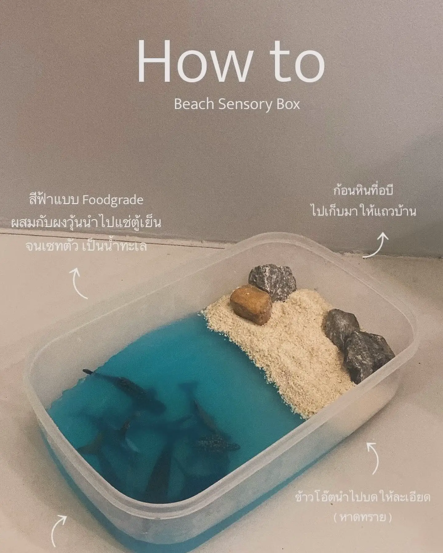 กิจกรรม Sensory play “ Beach sensory box “ | แกลเลอรีที่โพสต์โดย ...